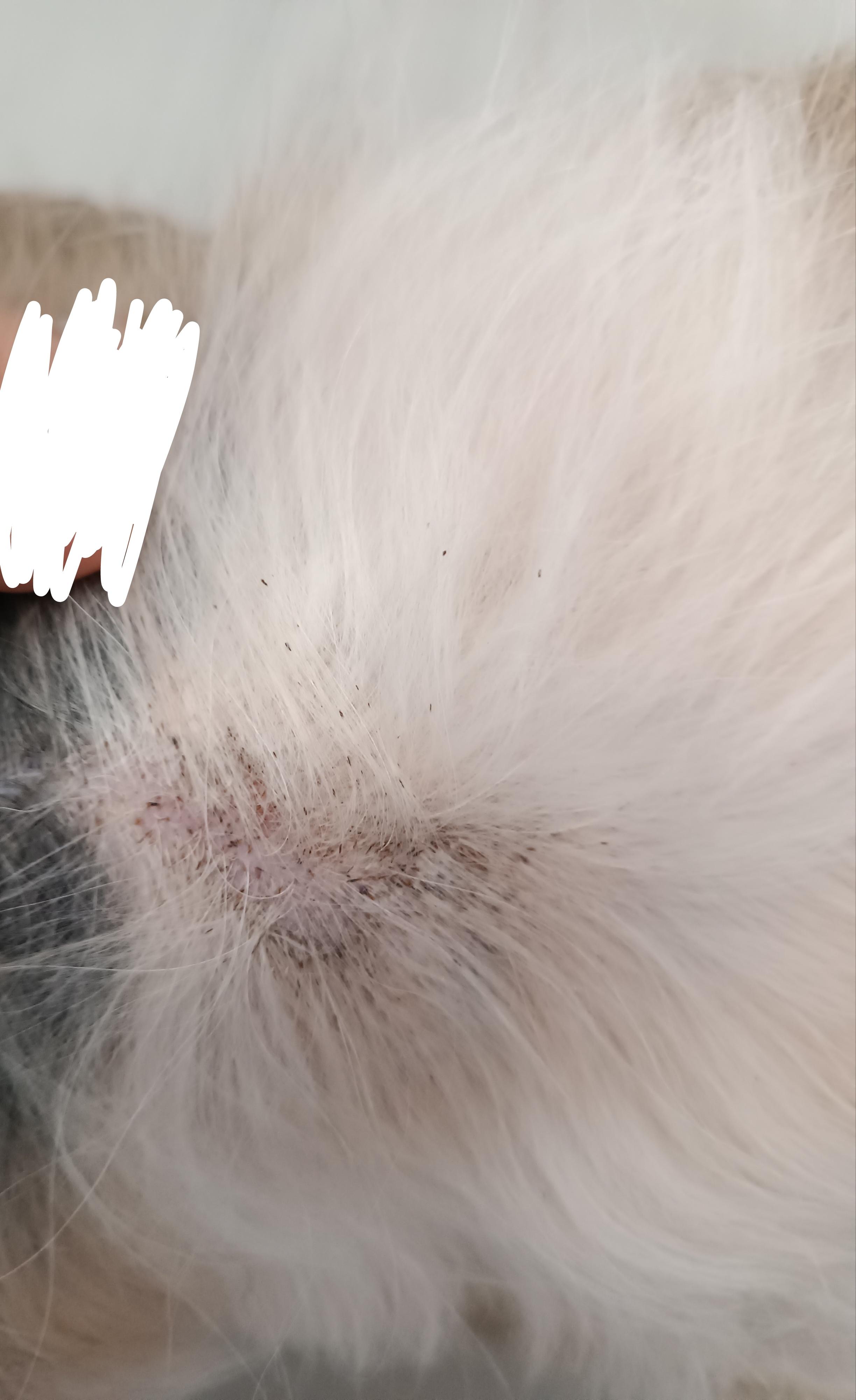 Skin issues | Scrolller