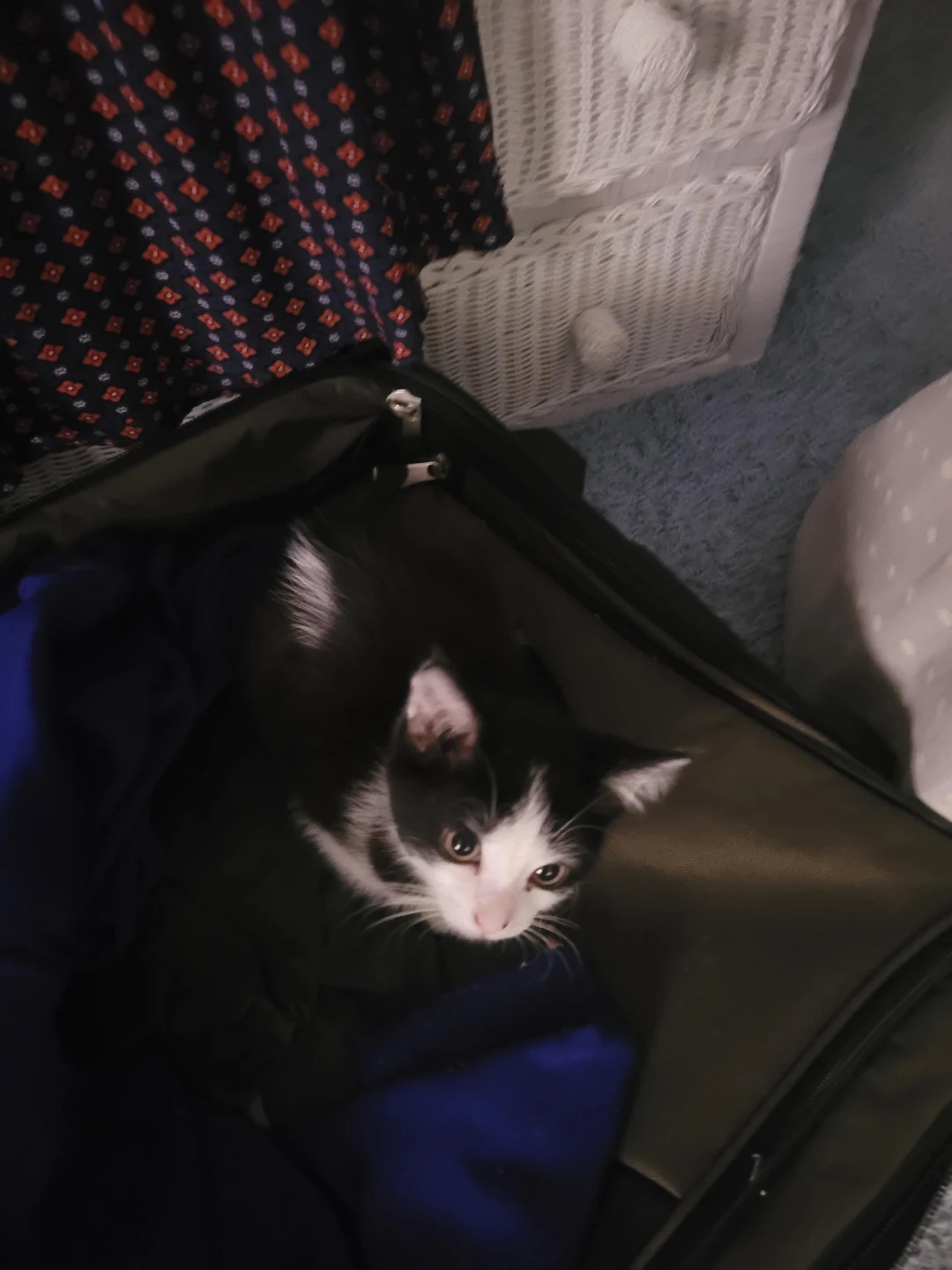 Cornelia's first loaf | Scrolller