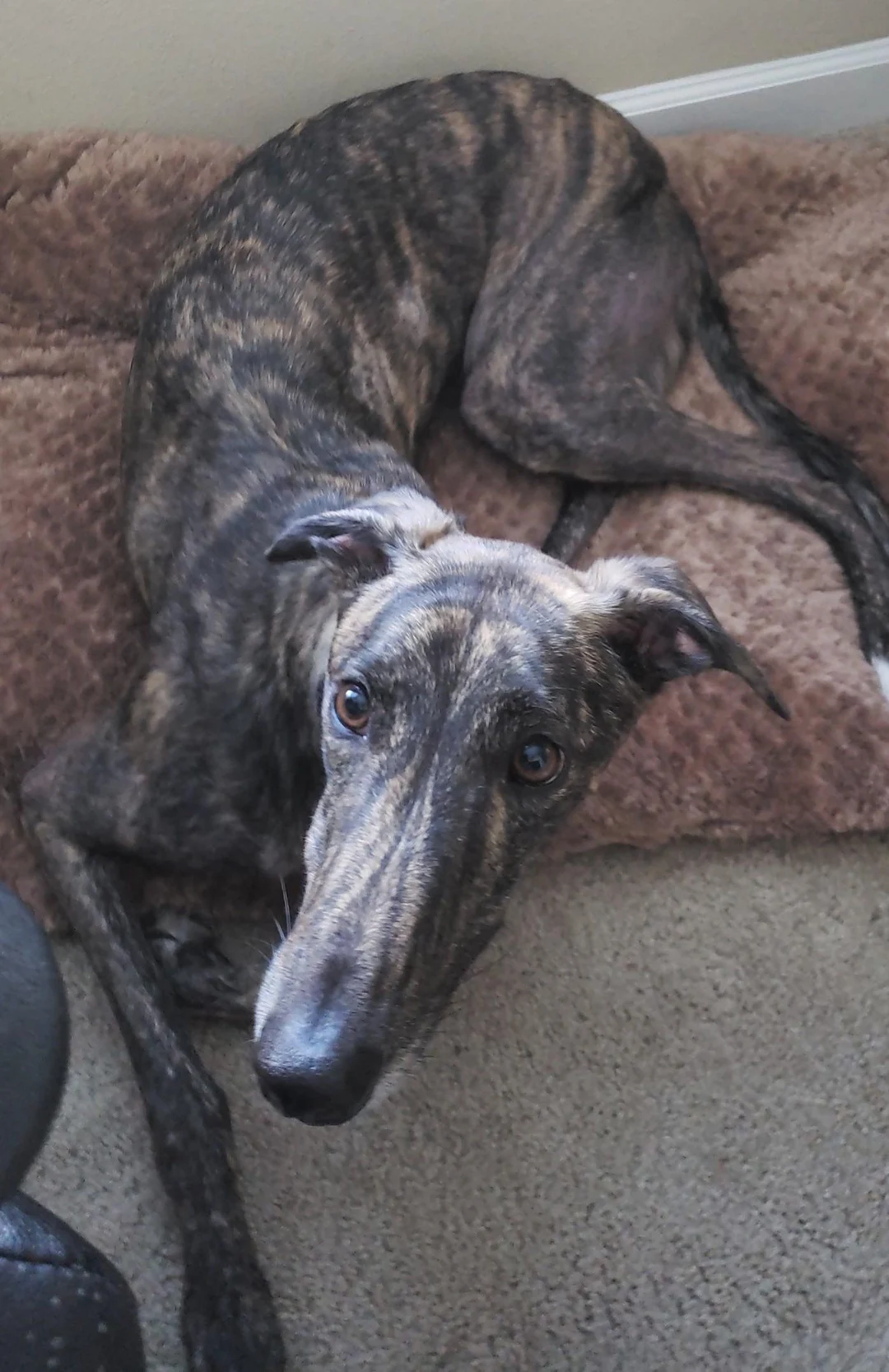 He crossed the bridge one month ago yesterday. The pain is unbearable ...