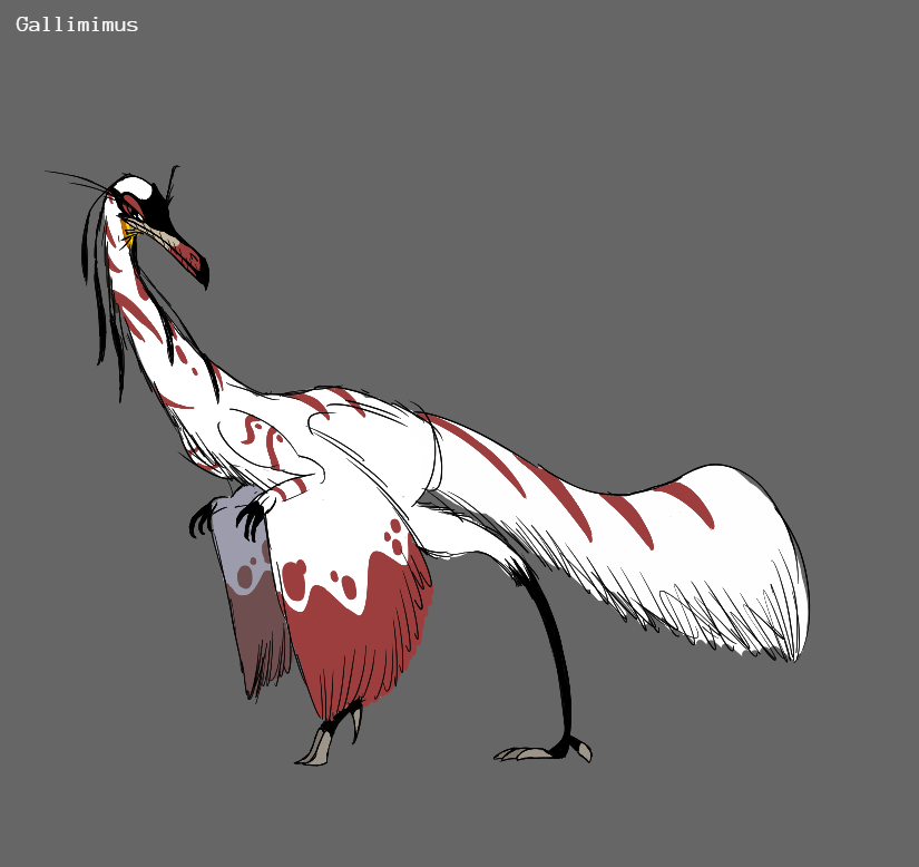 Queen of the chicken mimics | Scrolller