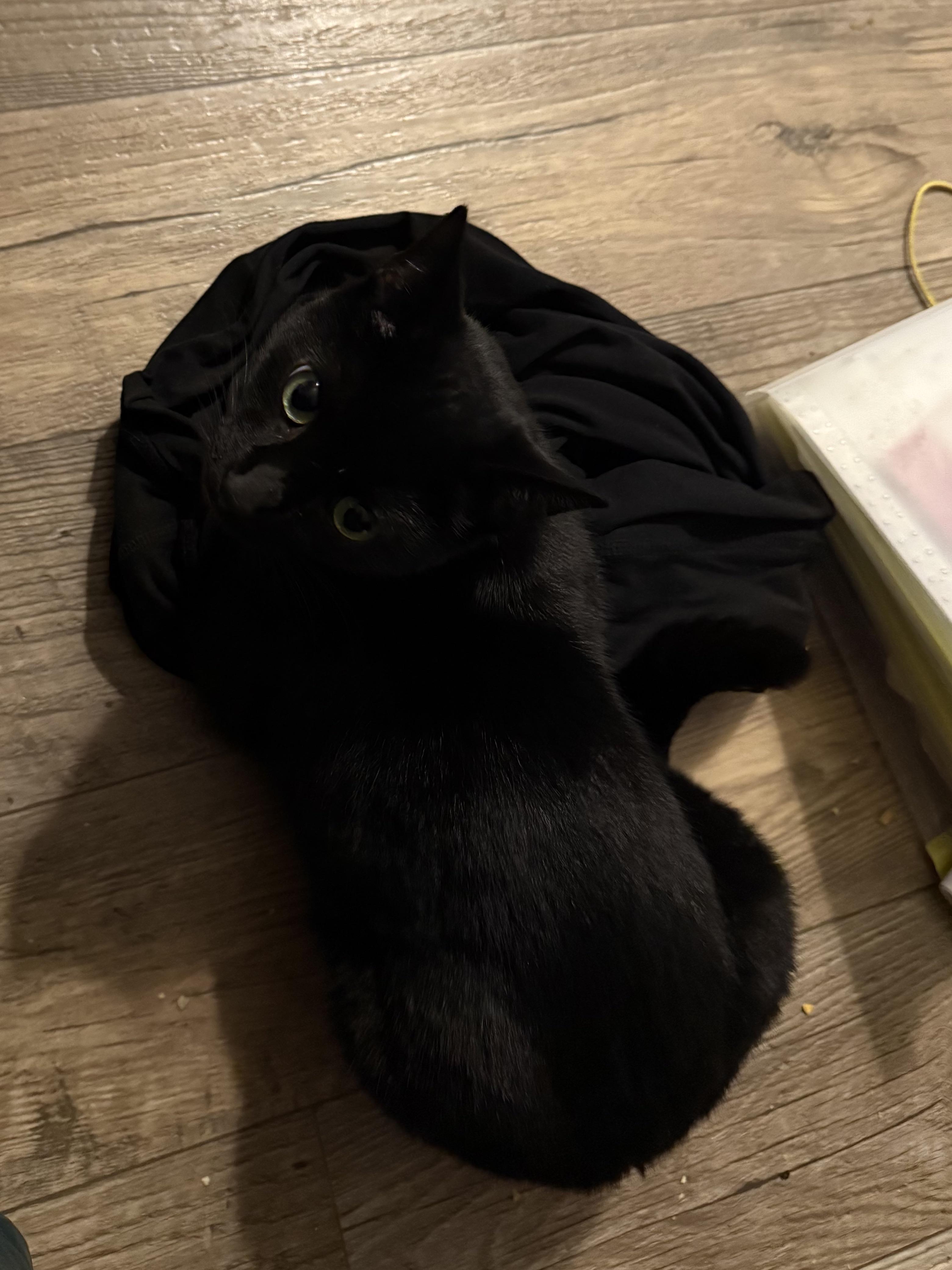 Void Blockade | Scrolller