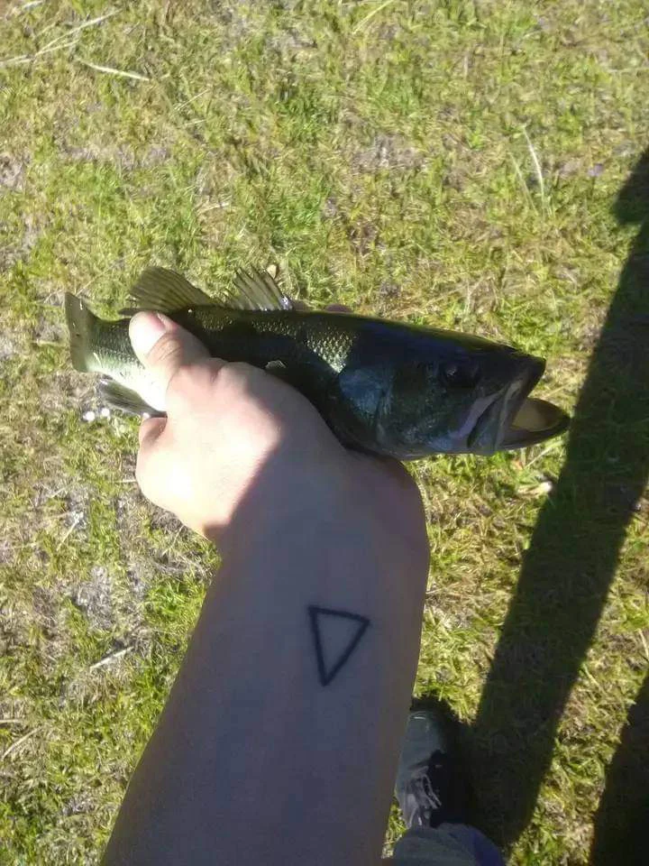 First catch on a spinning combo I bought today. | Scrolller