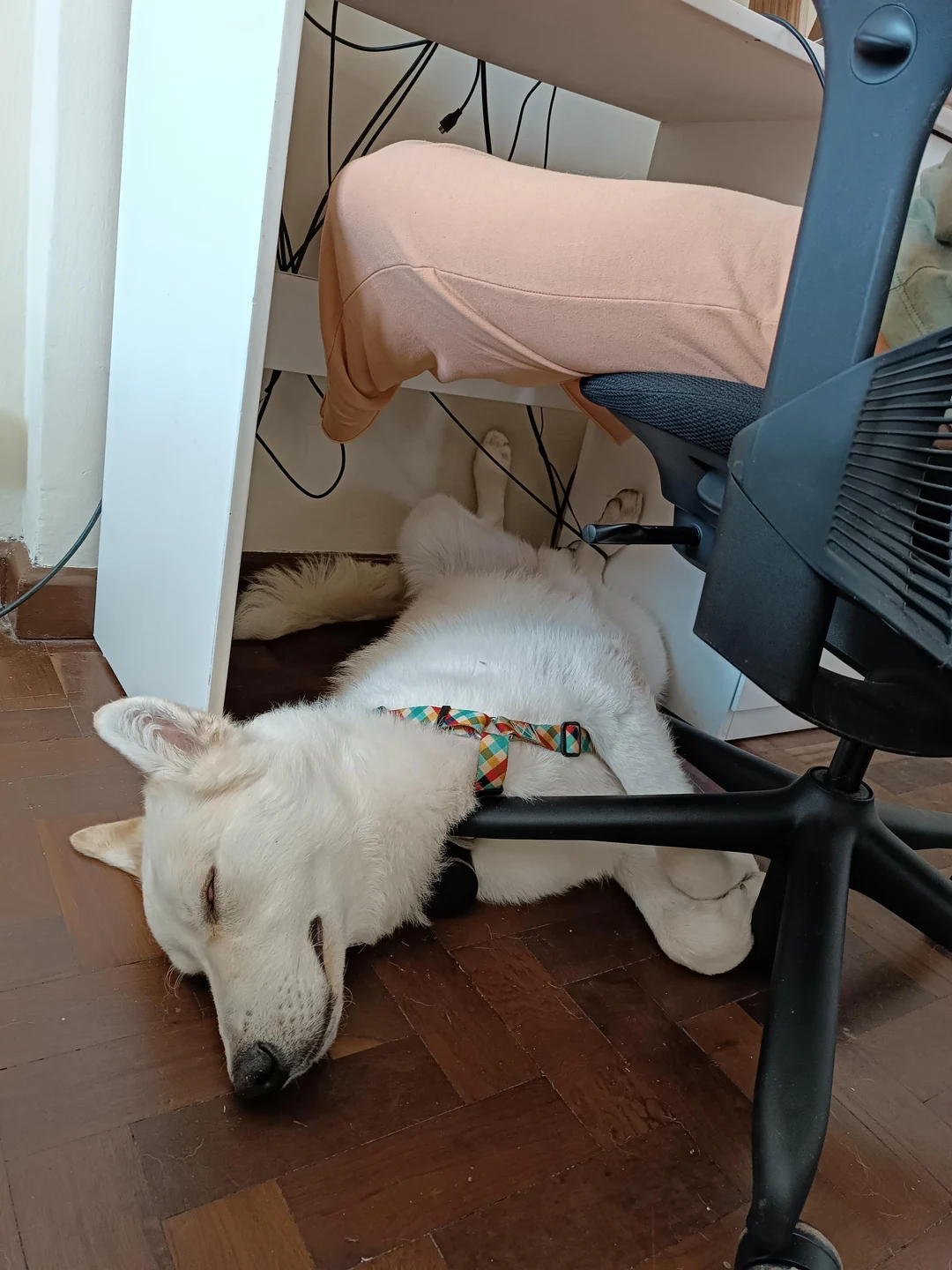how is this comfortable? | Scrolller