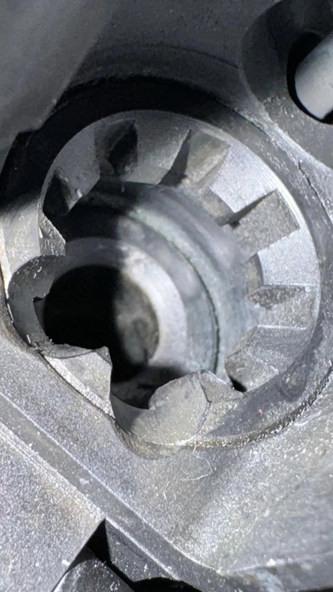 Is this normal? | Scrolller