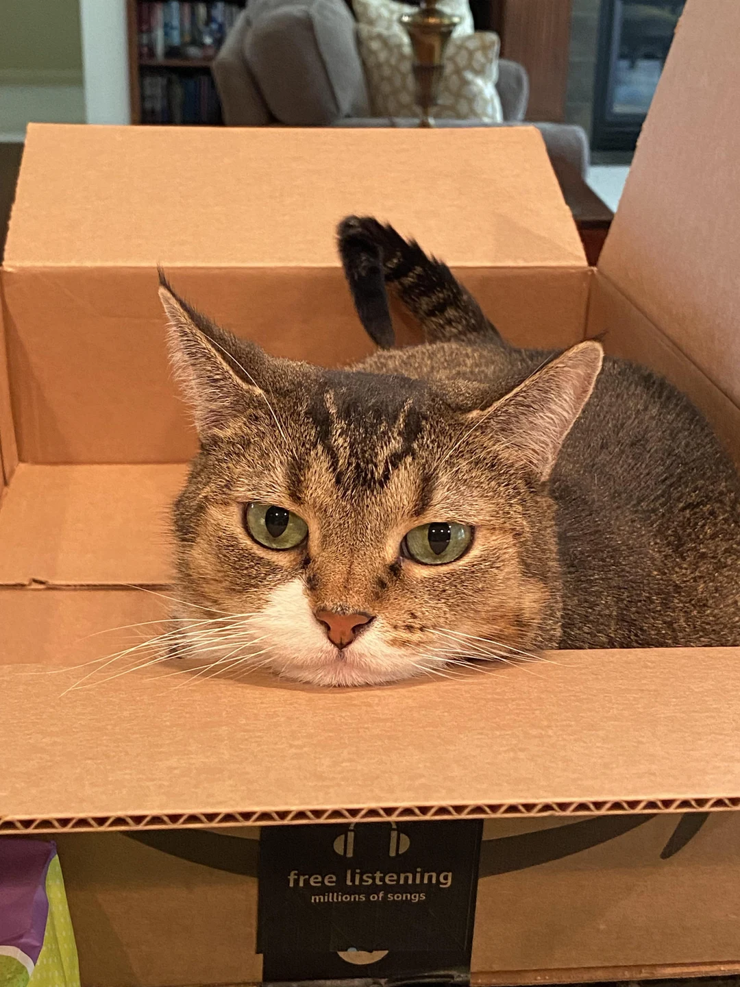 Lucy falls victim to a classic trap | Scrolller