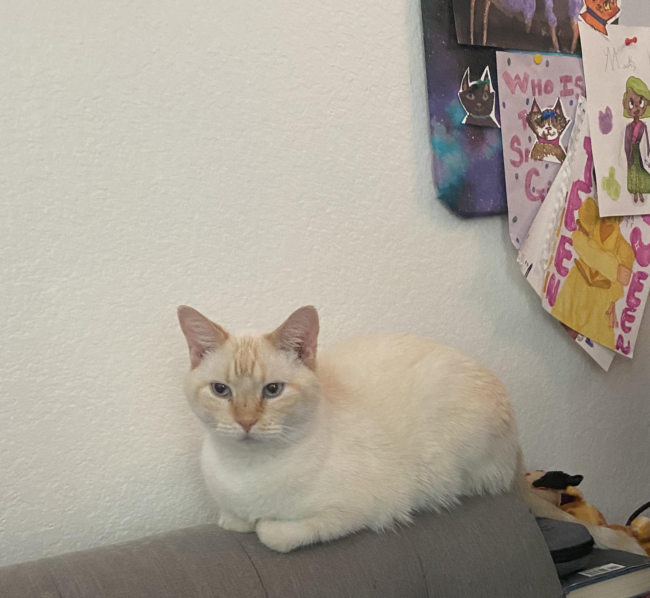 Jasper Loaf | Scrolller