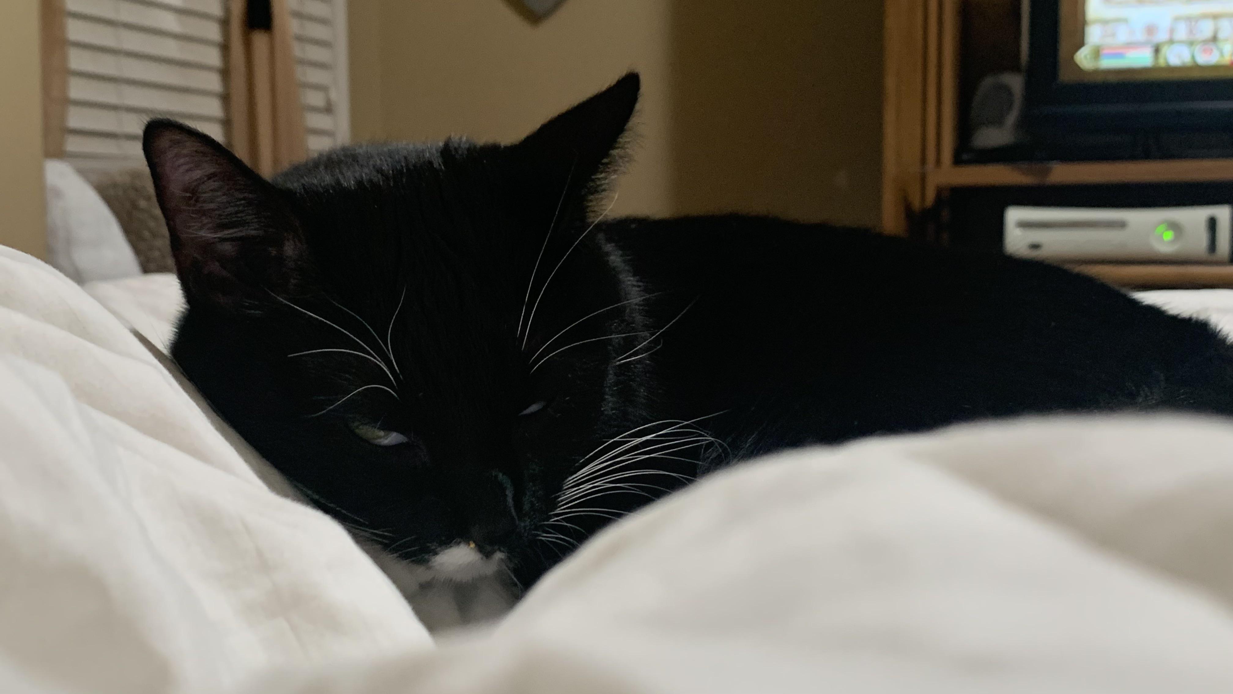 This boy brings me joy. | Scrolller