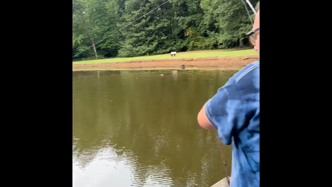 Big carp in small pond | Scrolller