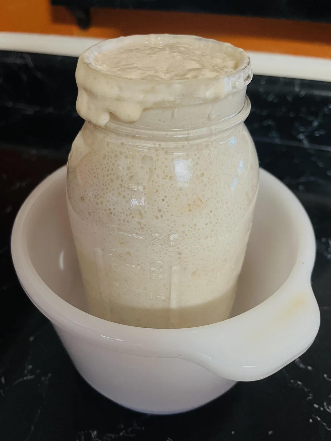Sourdough starter revival! | Scrolller