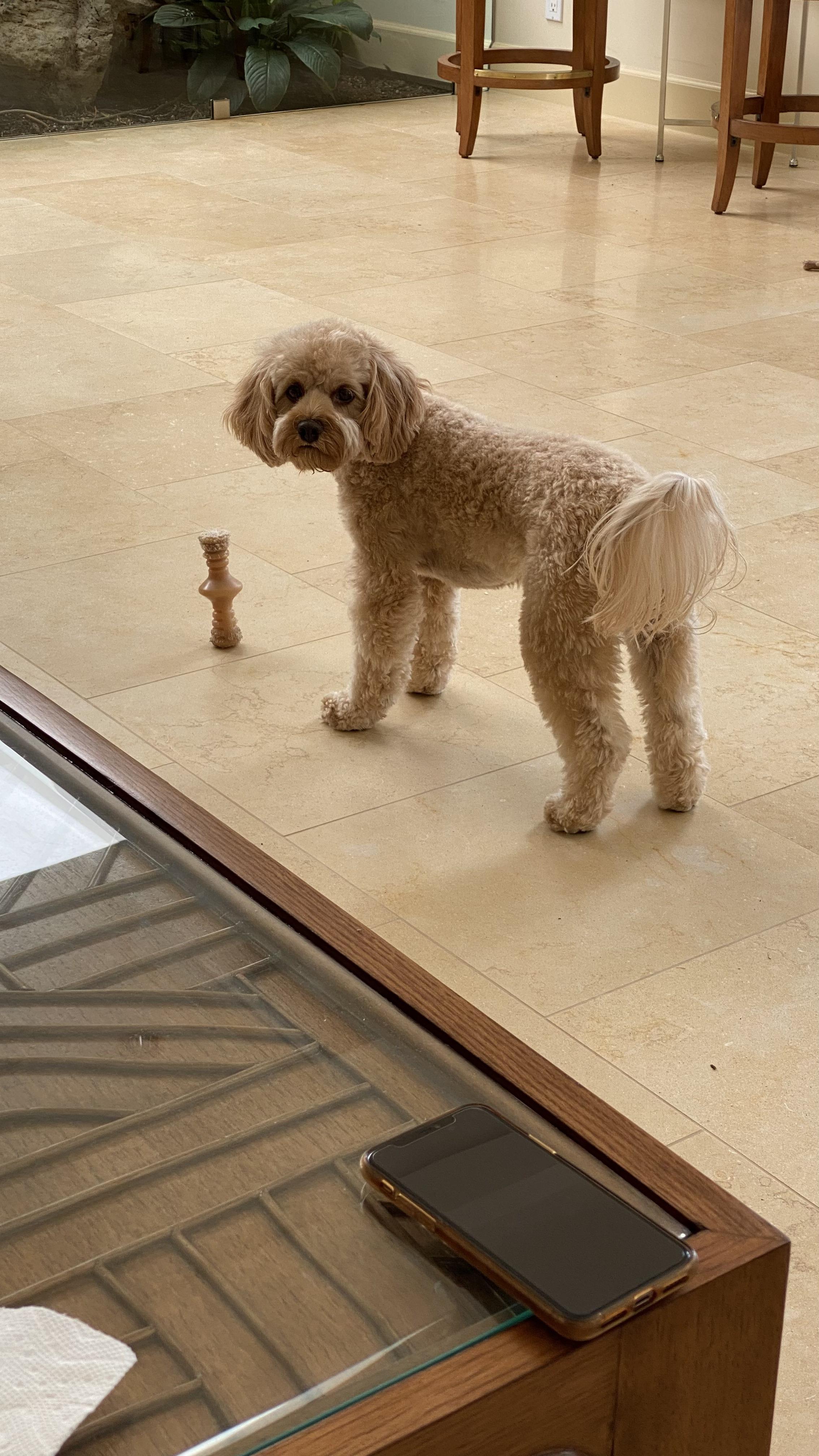 Coraline has a particular skill [OC] | Scrolller