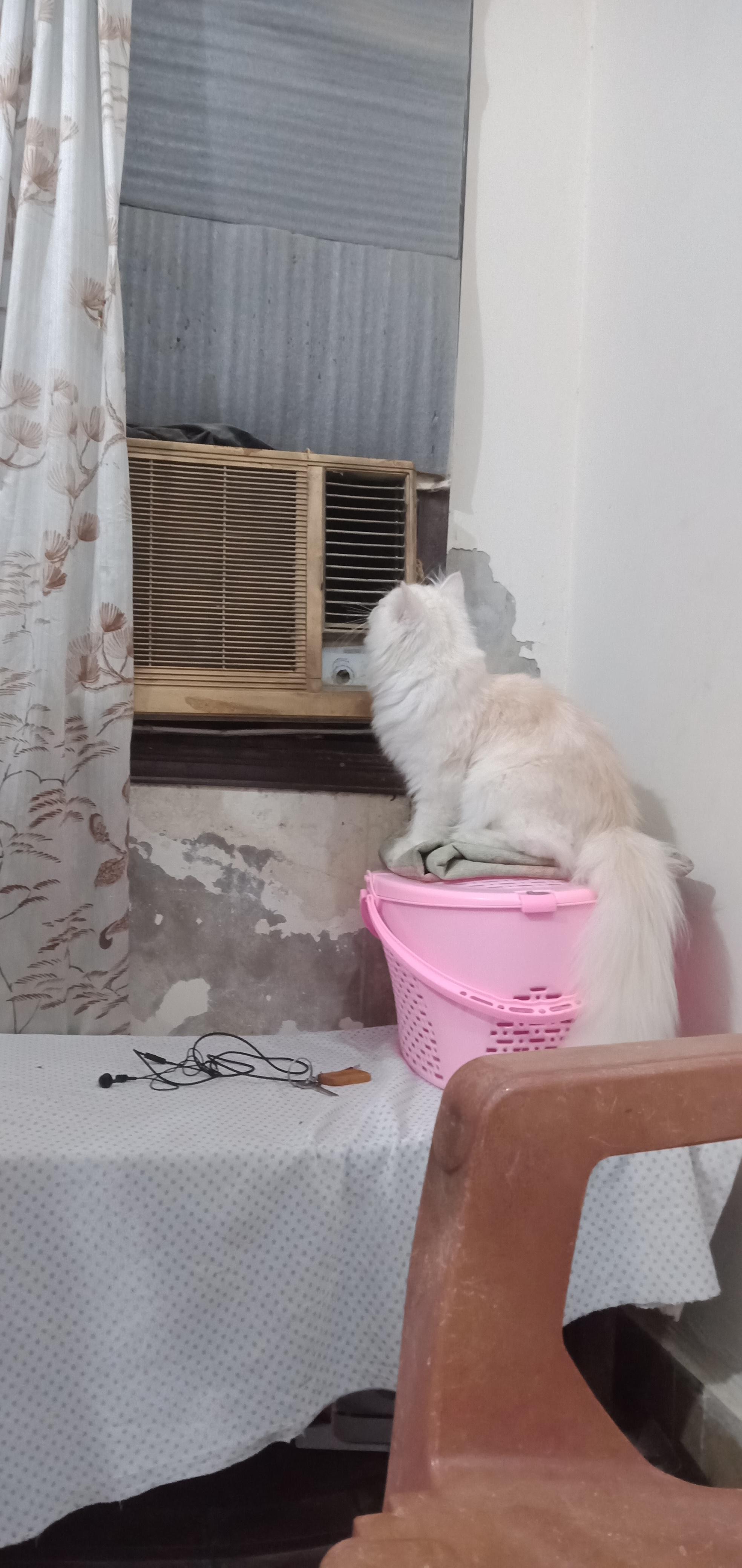 he really like the air conditioner | Scrolller
