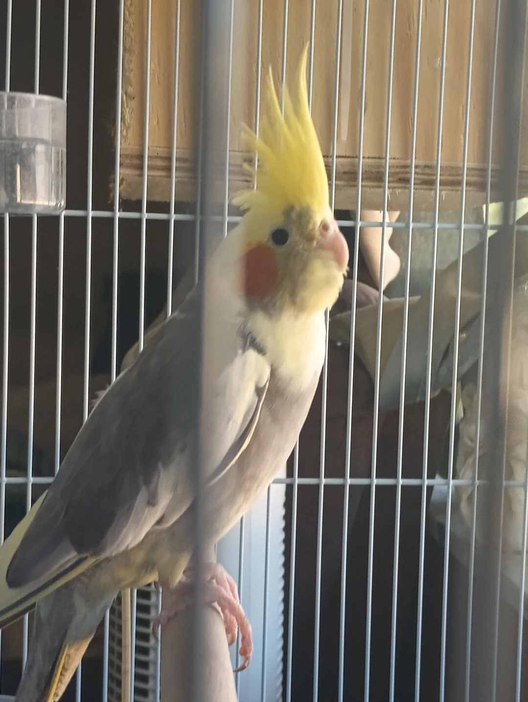 Do yall female ever be noisy ? | Scrolller