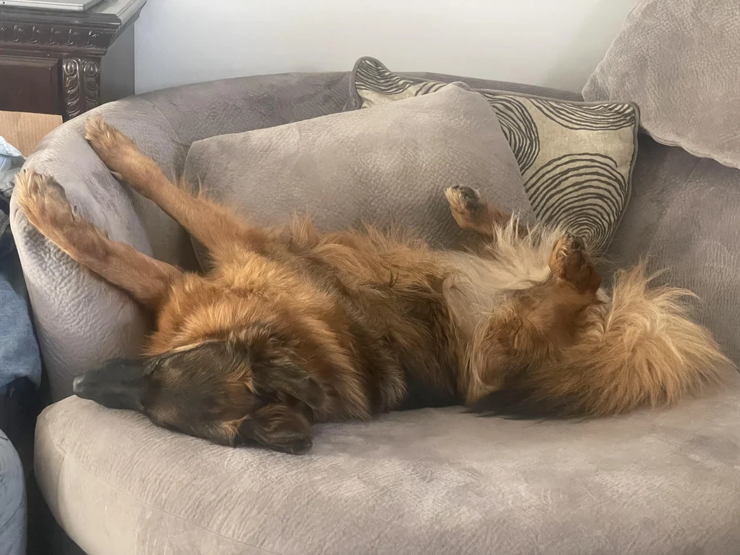 Ellie is just getting some rest | Scrolller