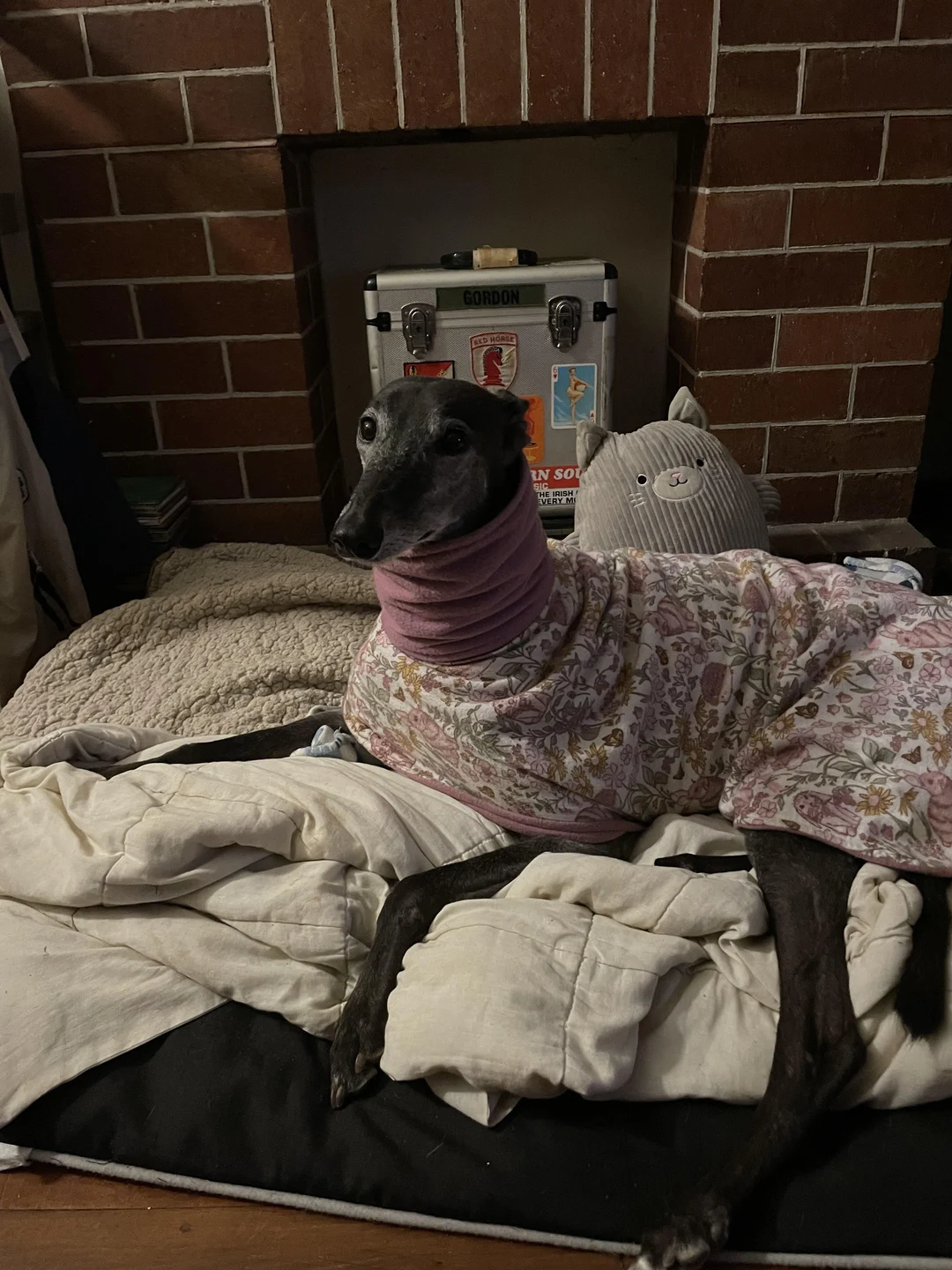 Florence | Scrolller