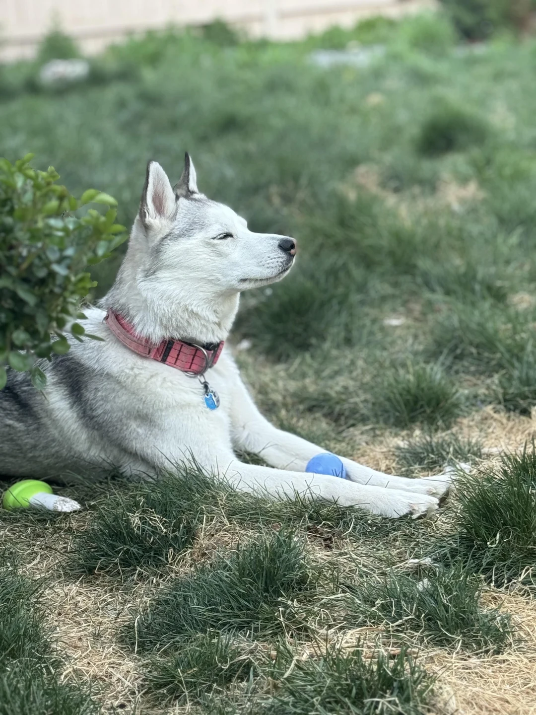 When spring is springing 💐 | Scrolller