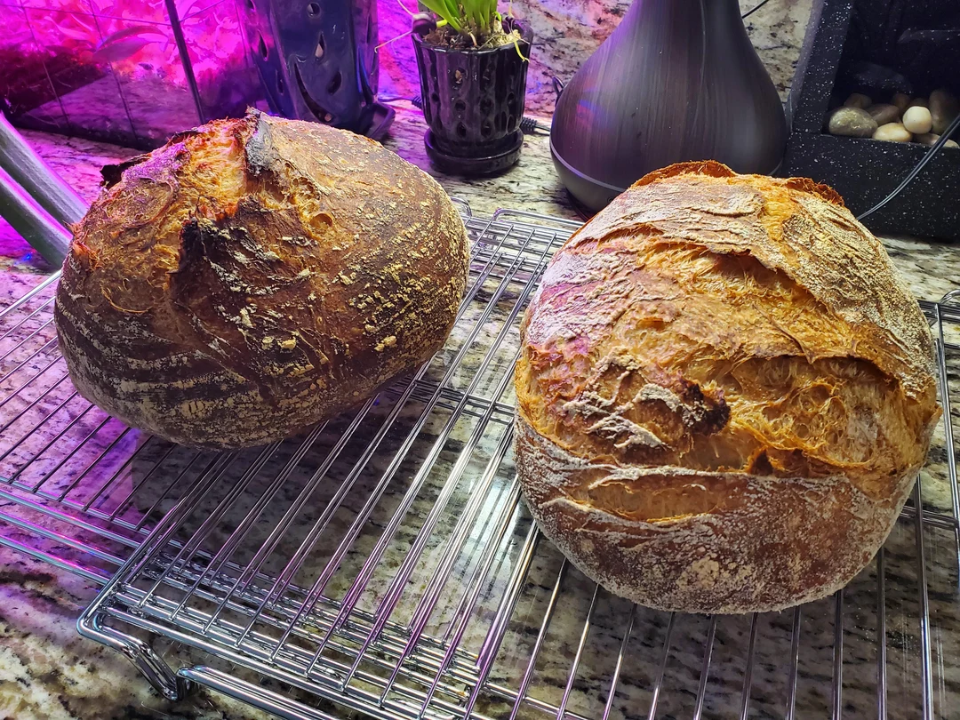 A tale of two loaves. FWSY Overnight white, loaf on right baked first, loaf on left delayed in ...