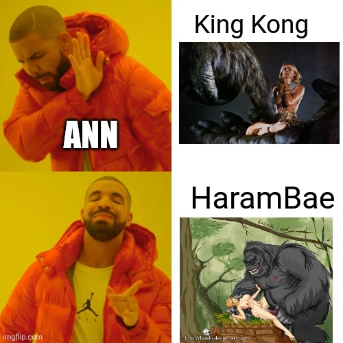 Harami Harambe is the best Bae | Scrolller