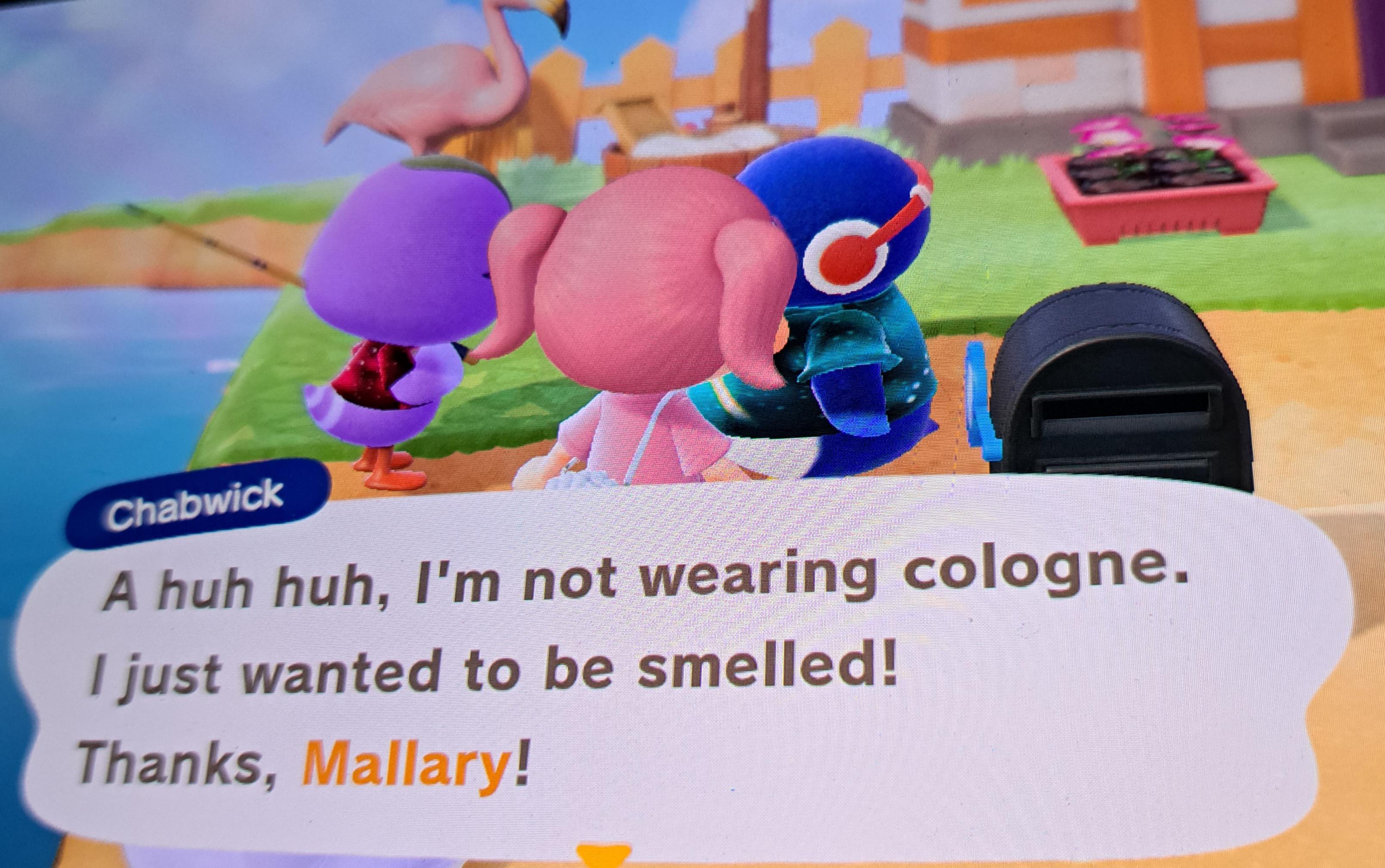 Things on my island are getting weird. | Scrolller