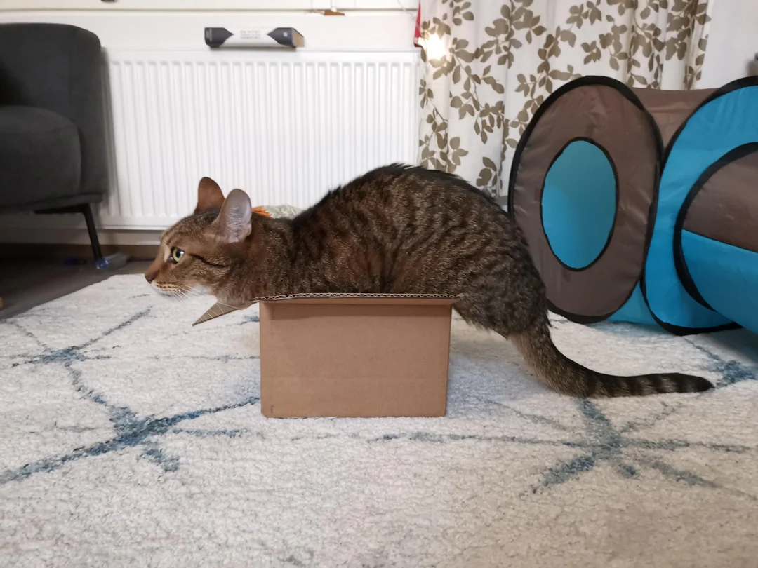 Box is a box | Scrolller