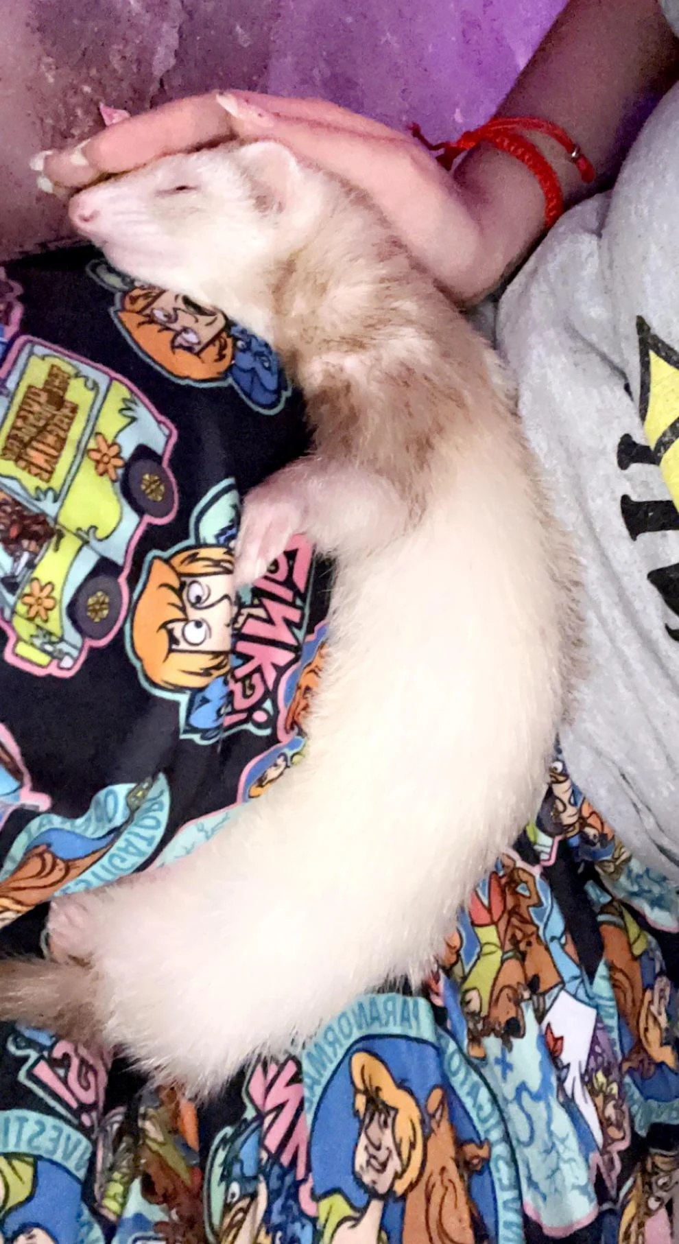 Little bailey taking a power nap | Scrolller