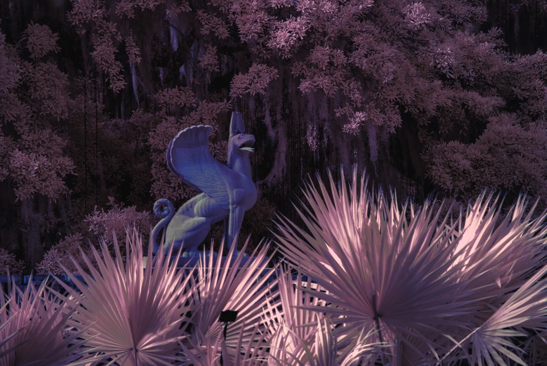 Gargoyle | Scrolller