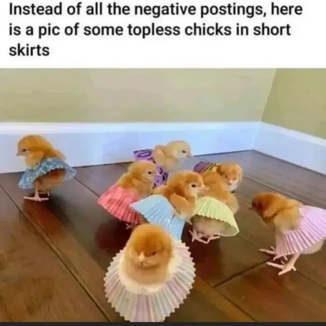 topless chicks | Scrolller