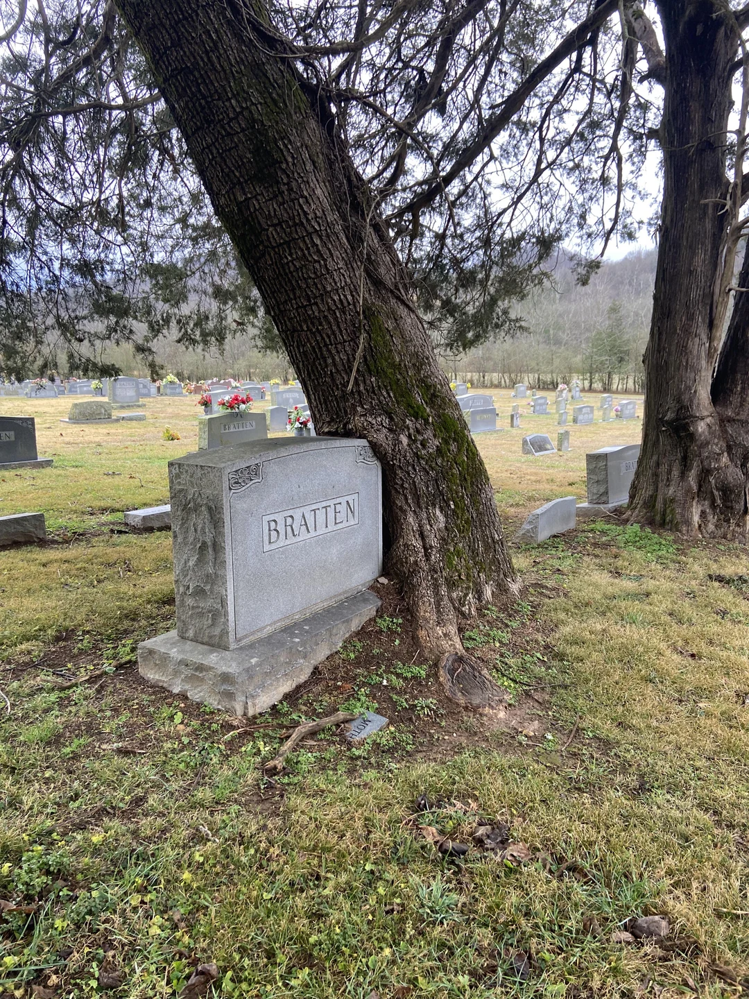 Bratten Grave | Scrolller