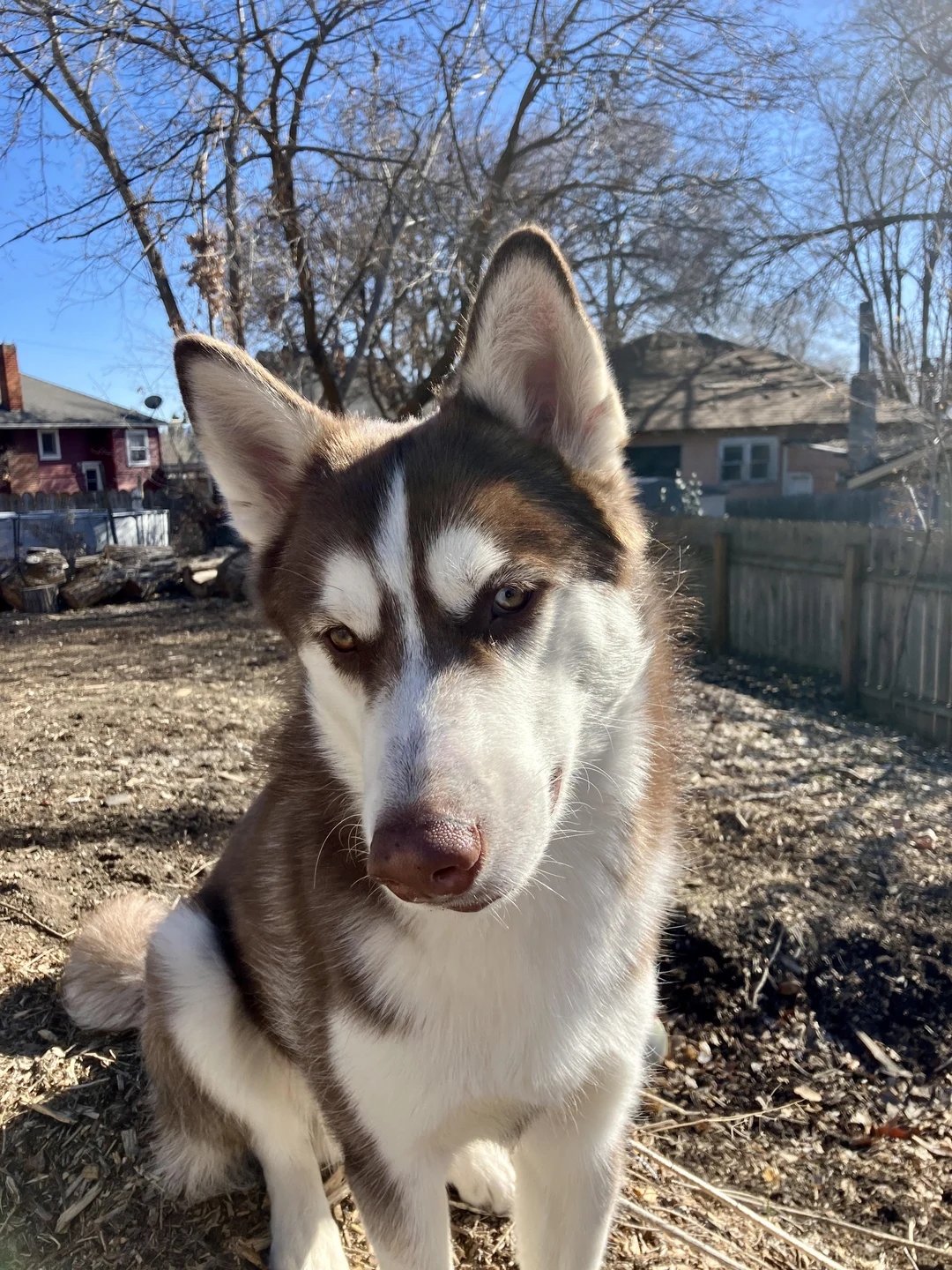 Saryn loves the sunshine and nicer weather lately. | Scrolller