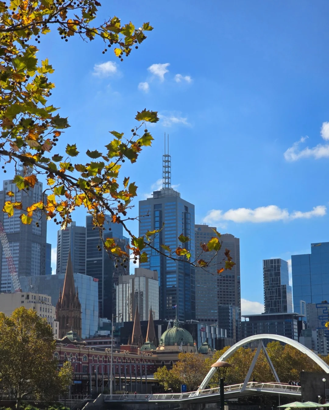 Melbourne | Scrolller