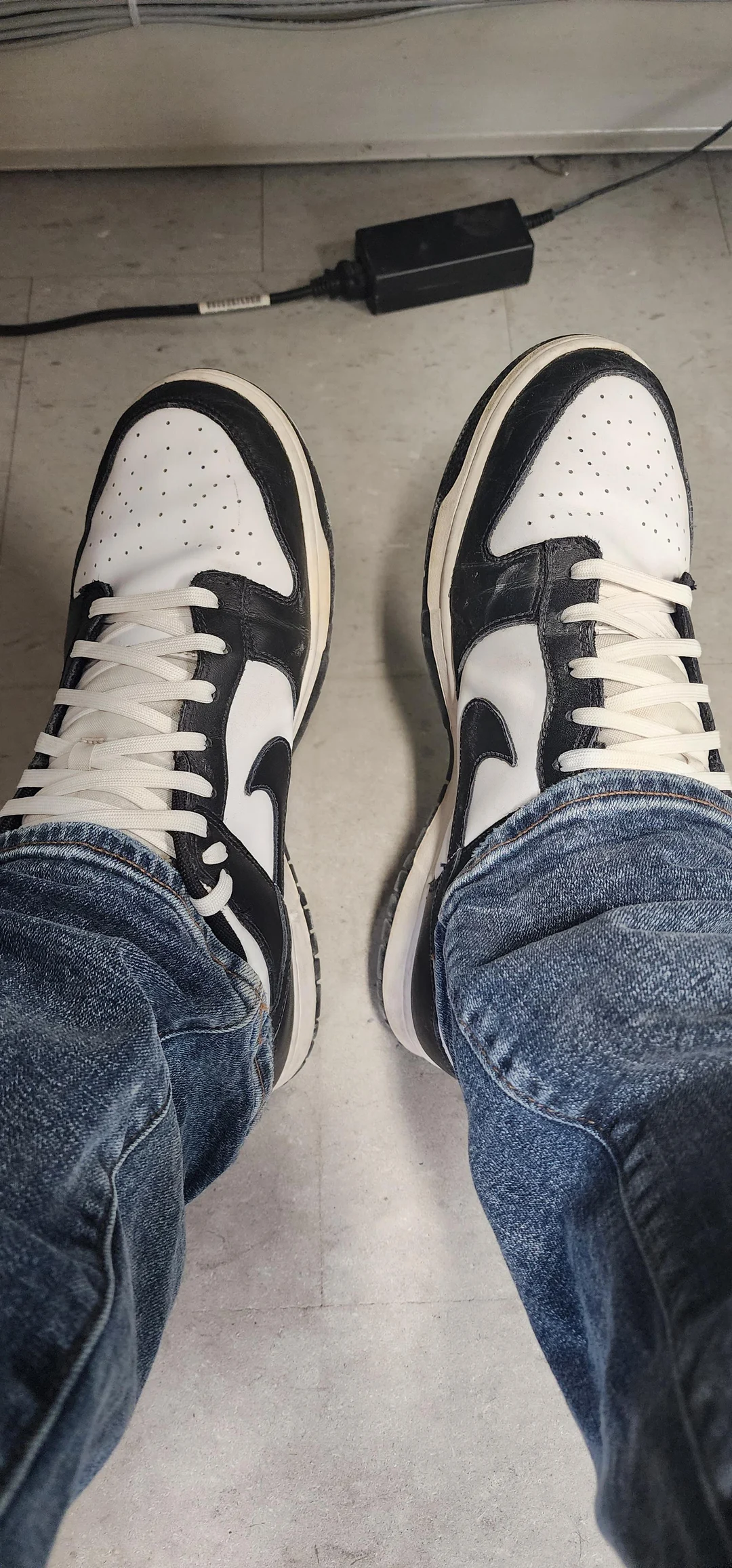 Almost 2 years strong. Love my Pandas 🤙 | Scrolller