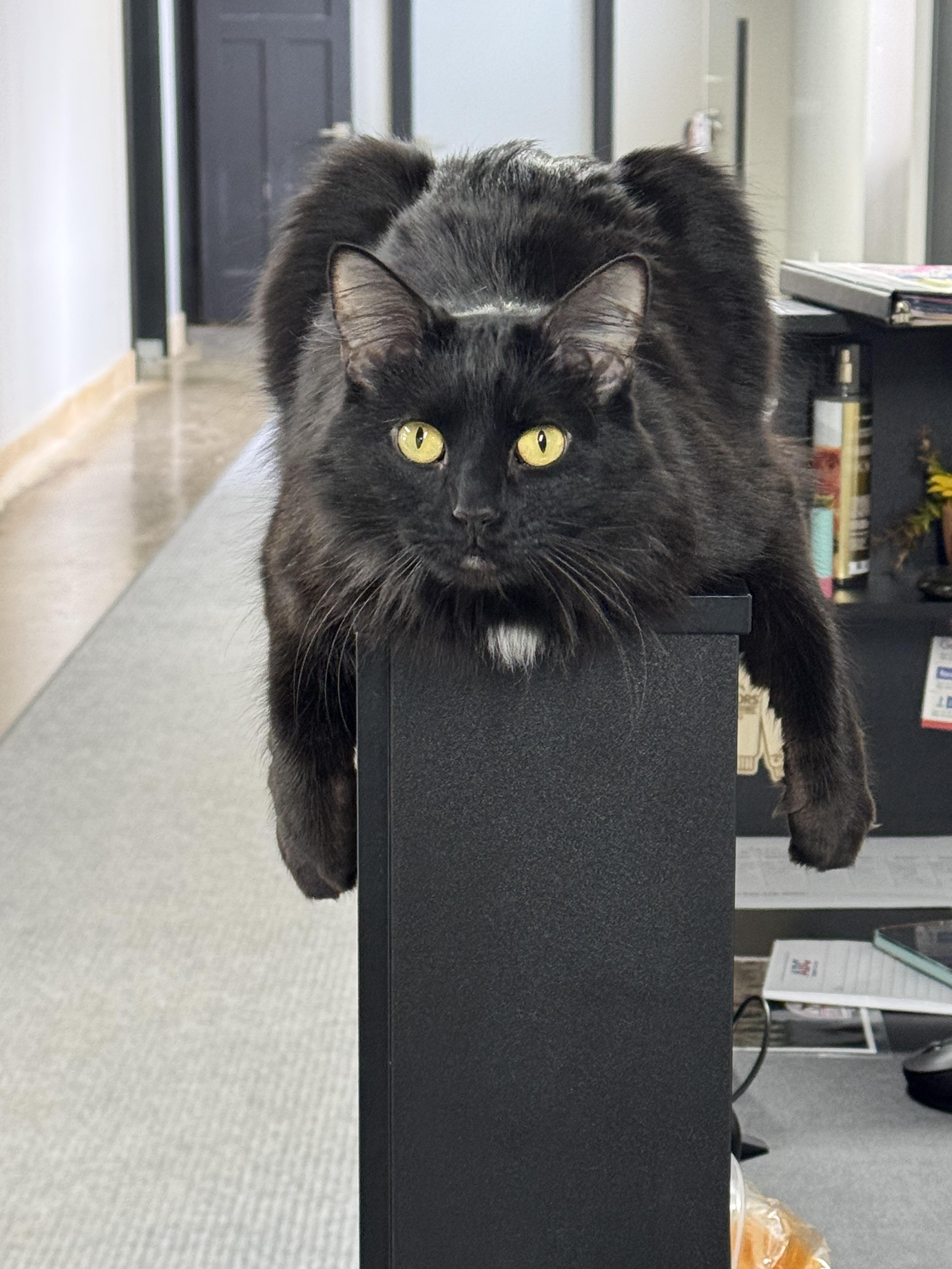 Our work void | Scrolller