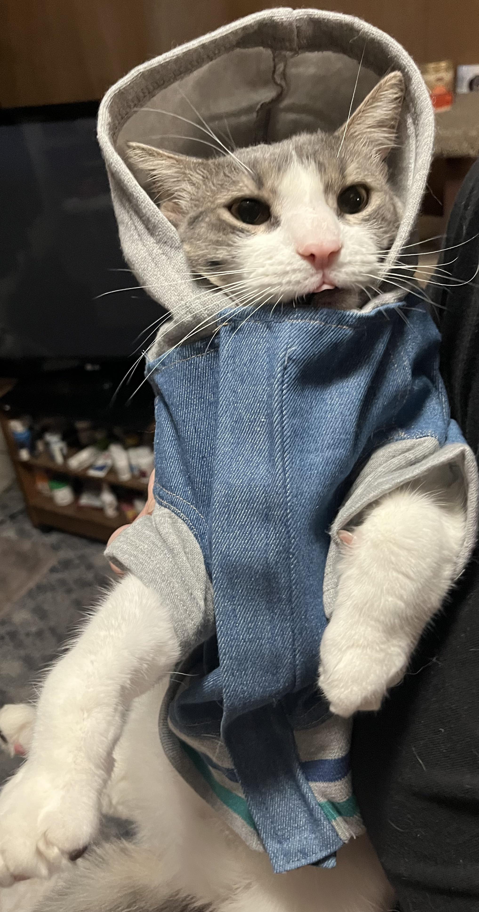 Teeny tiny Blep from my boy 😍 | Scrolller