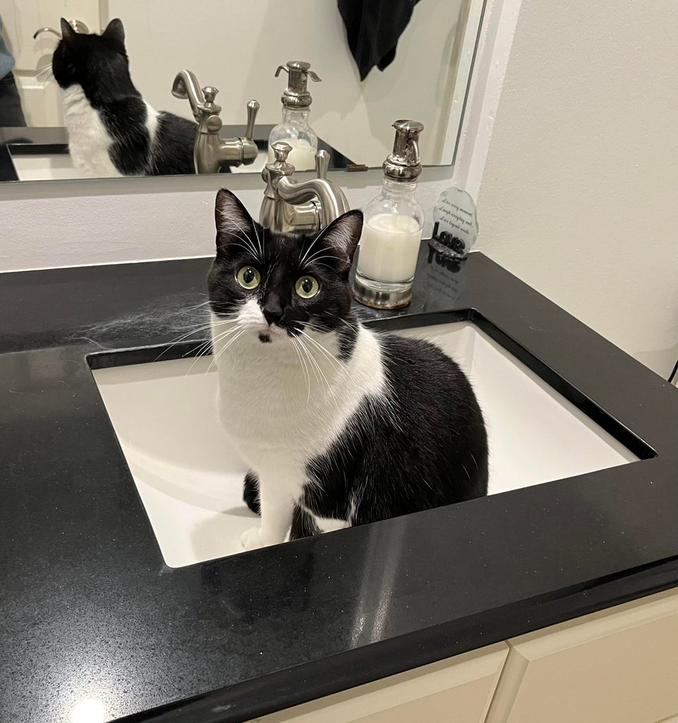 Samson Michael | Scrolller