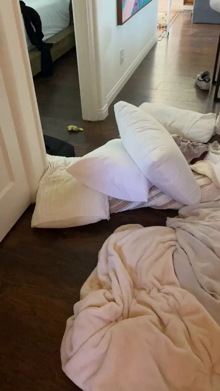 Left the crate open | Scrolller