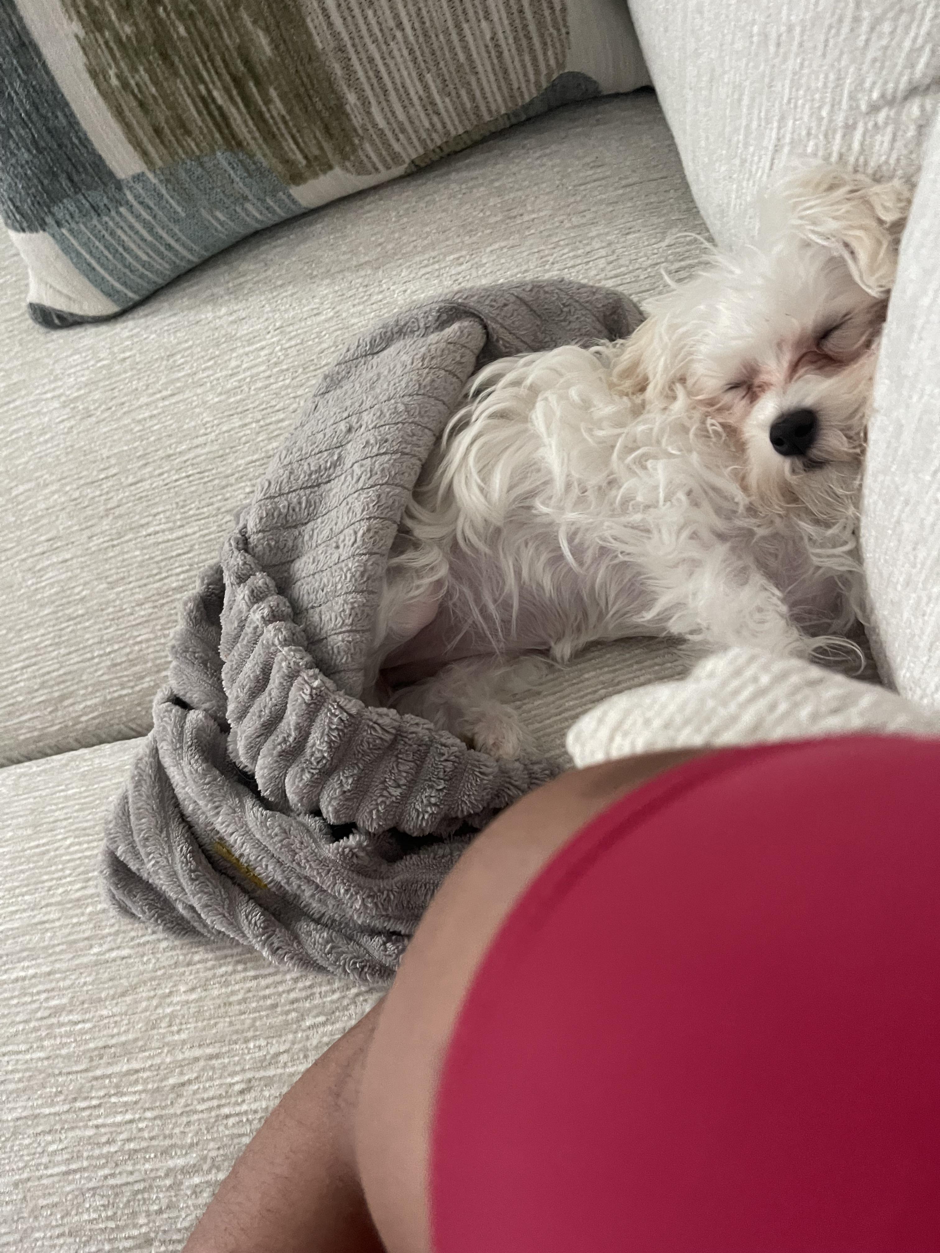 Travel suggestions | Scrolller