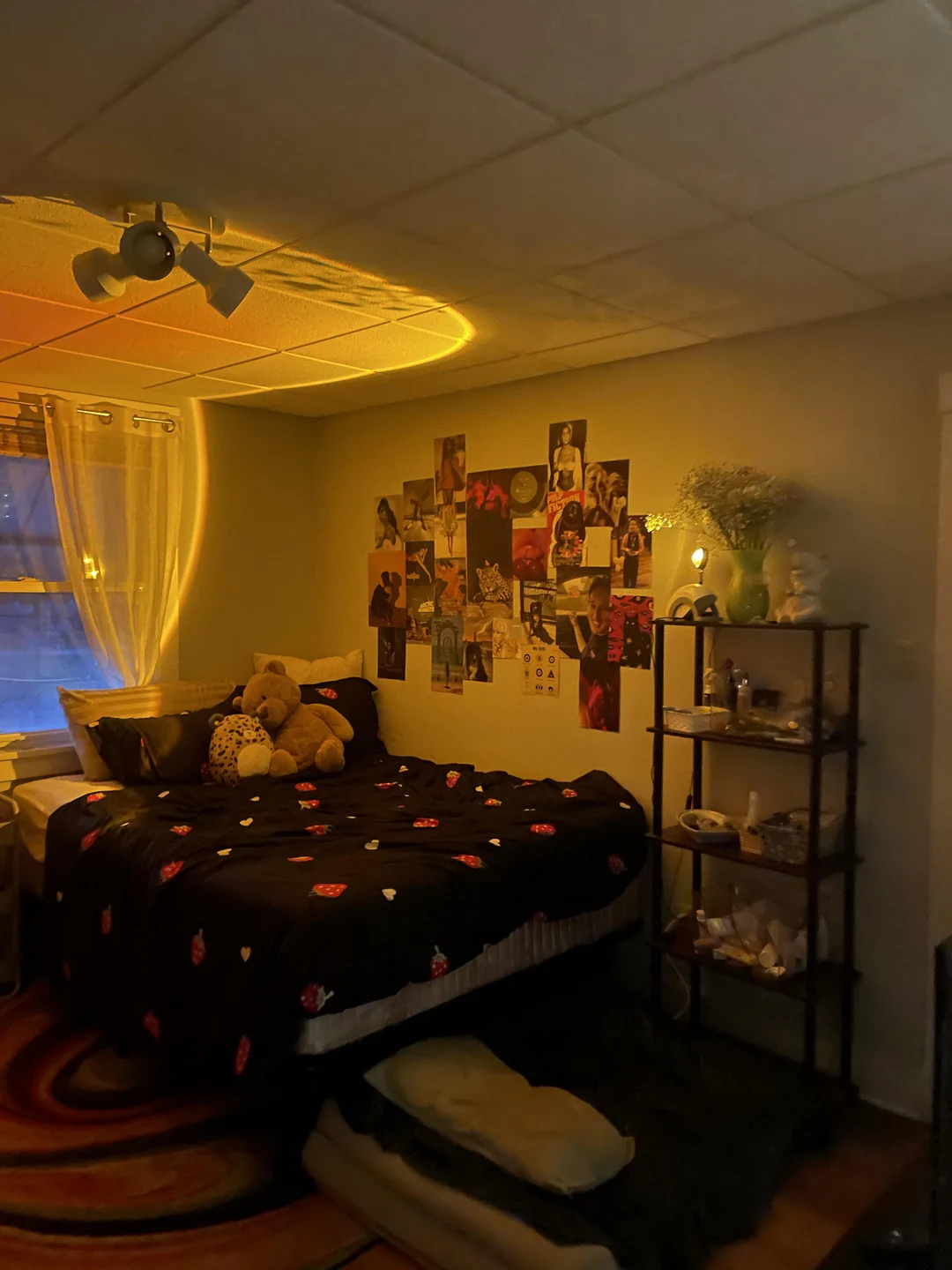 my new room setup in my college house :) | Scrolller