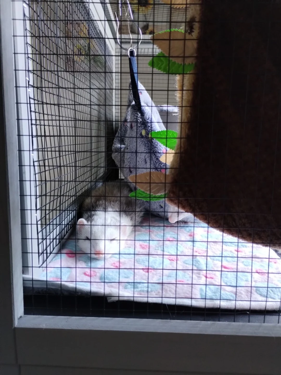 they kicked my boy out the hammock. | Scrolller