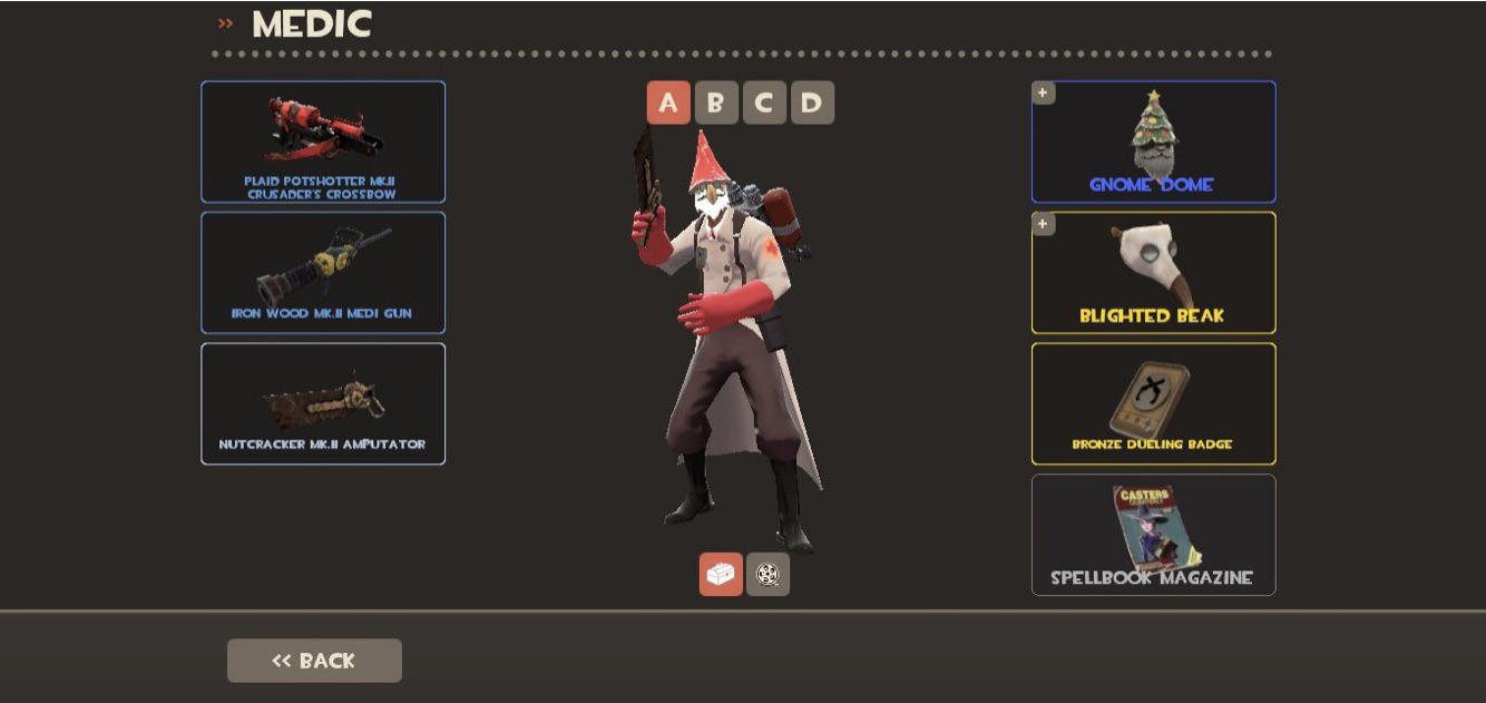 Thoughts on my Medic loadout | Scrolller