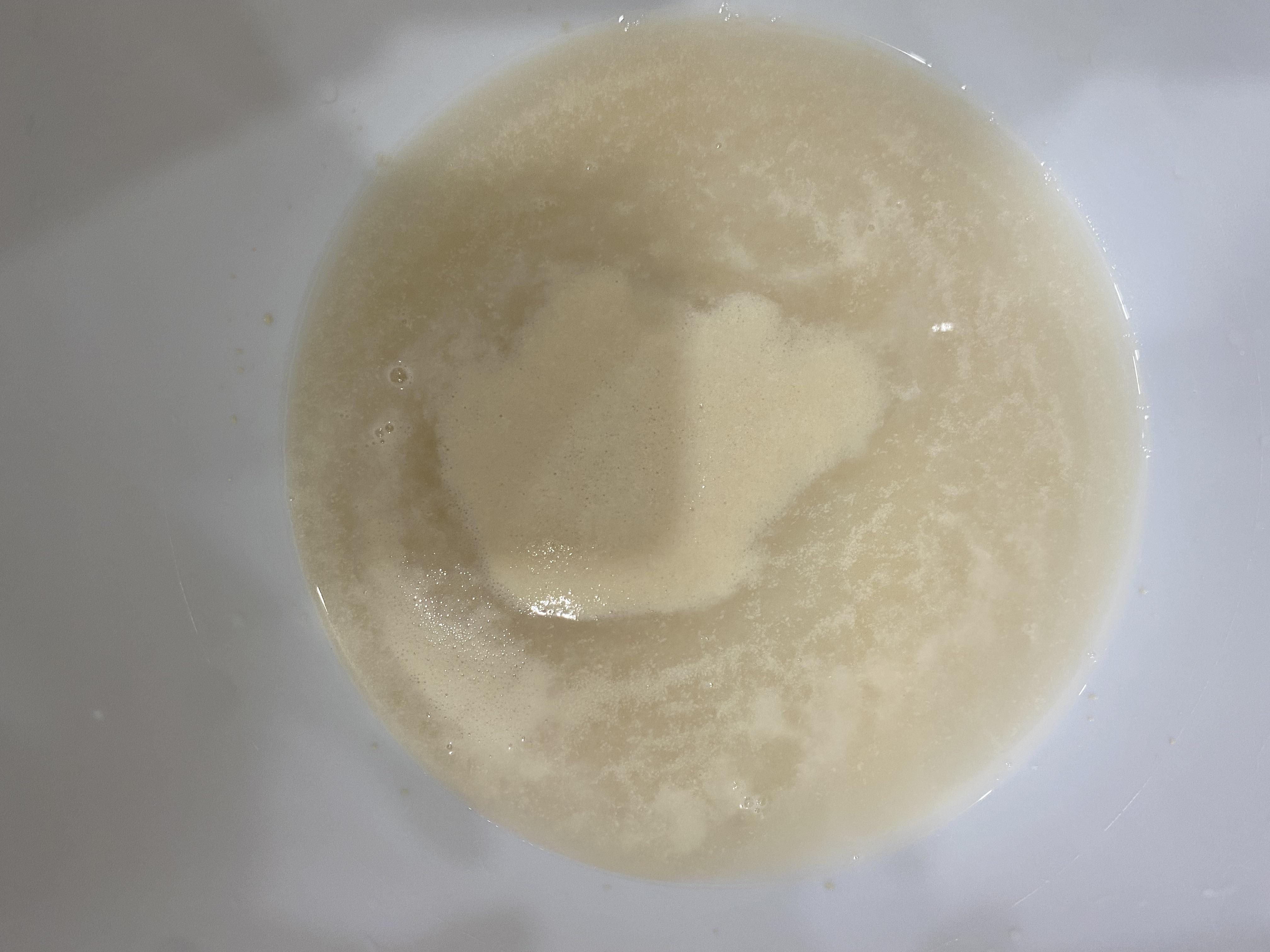 Hi is this yeast dead or alive? | Scrolller