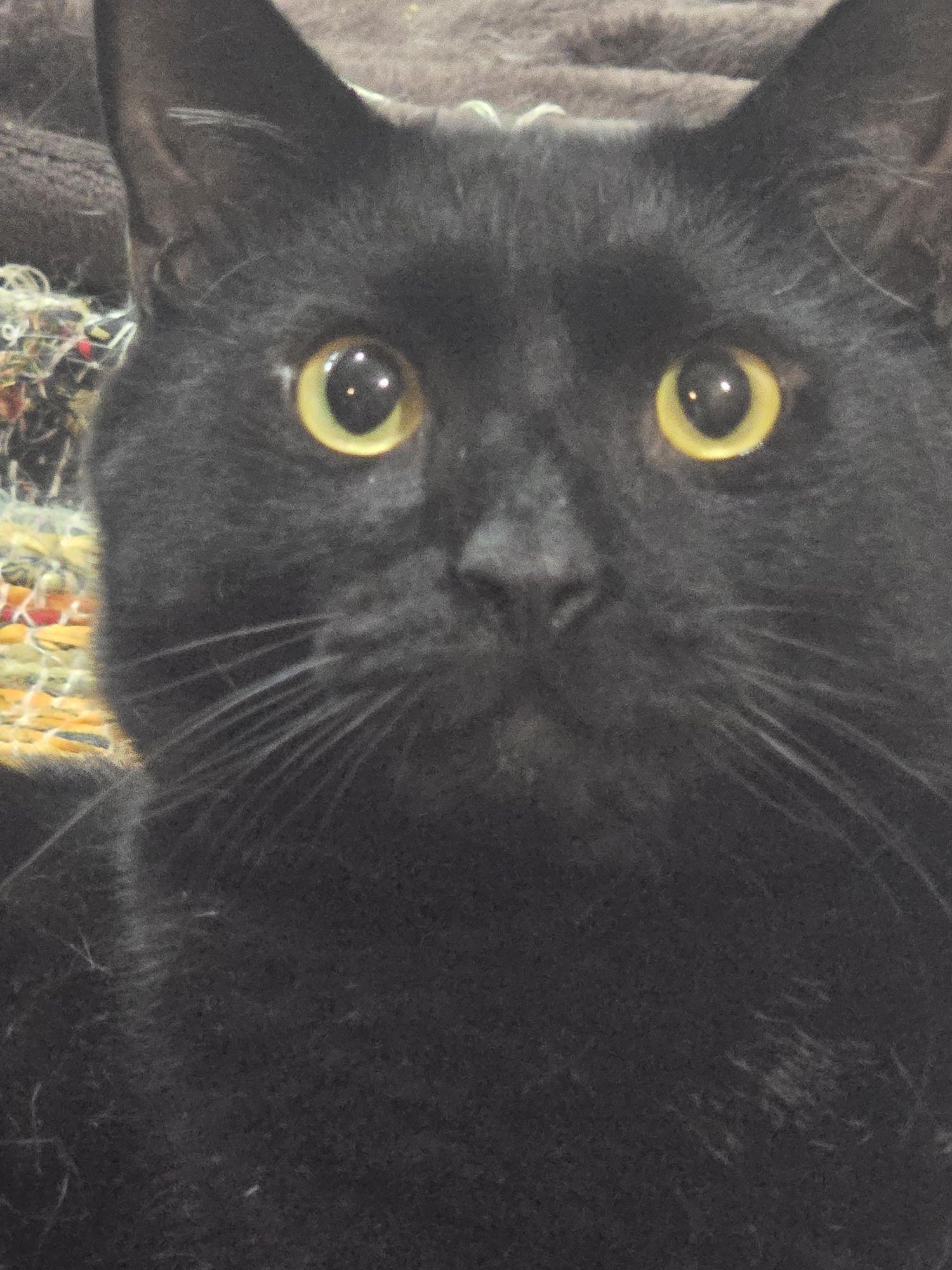 Stare into the void... | Scrolller