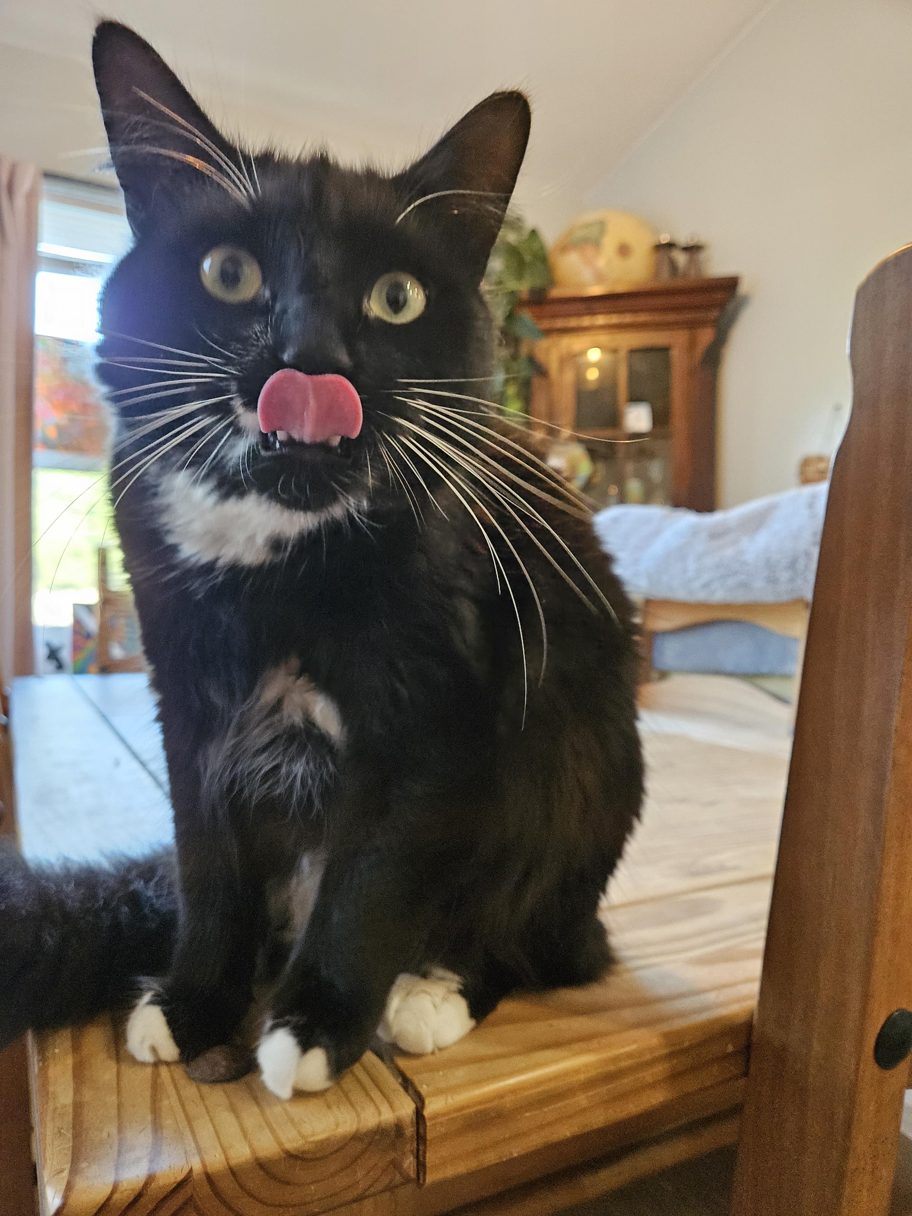 (OC) Mr. Wiggles liked his snack | Scrolller