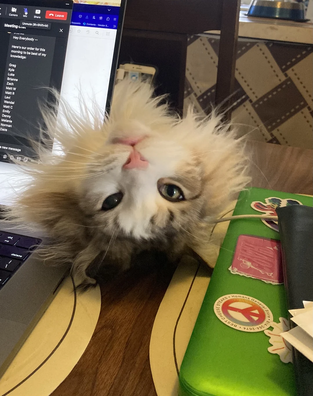 Meet Logan | Scrolller