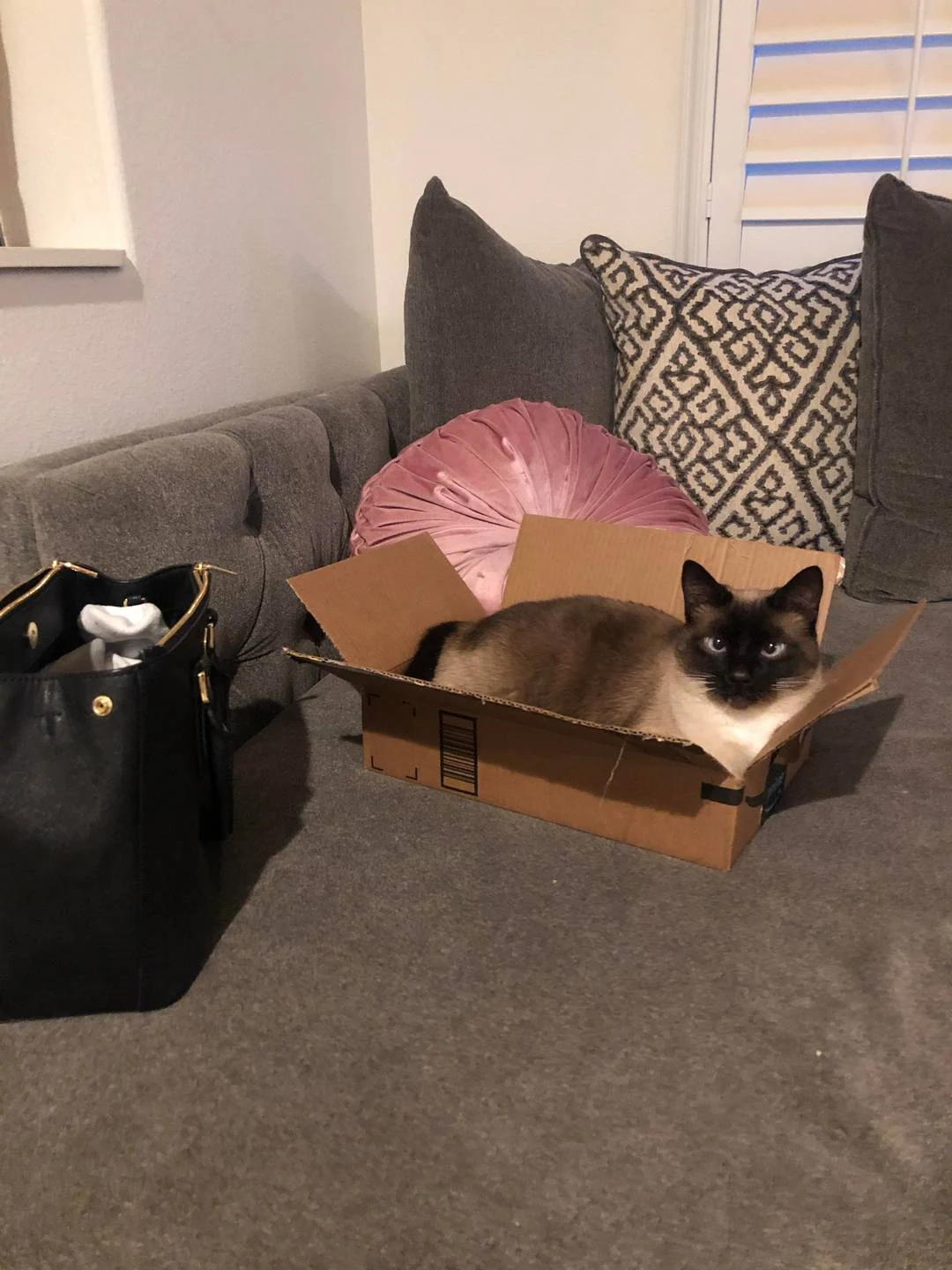 Special Delivery | Scrolller