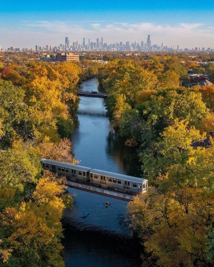 Chicago River in the fall | Scrolller