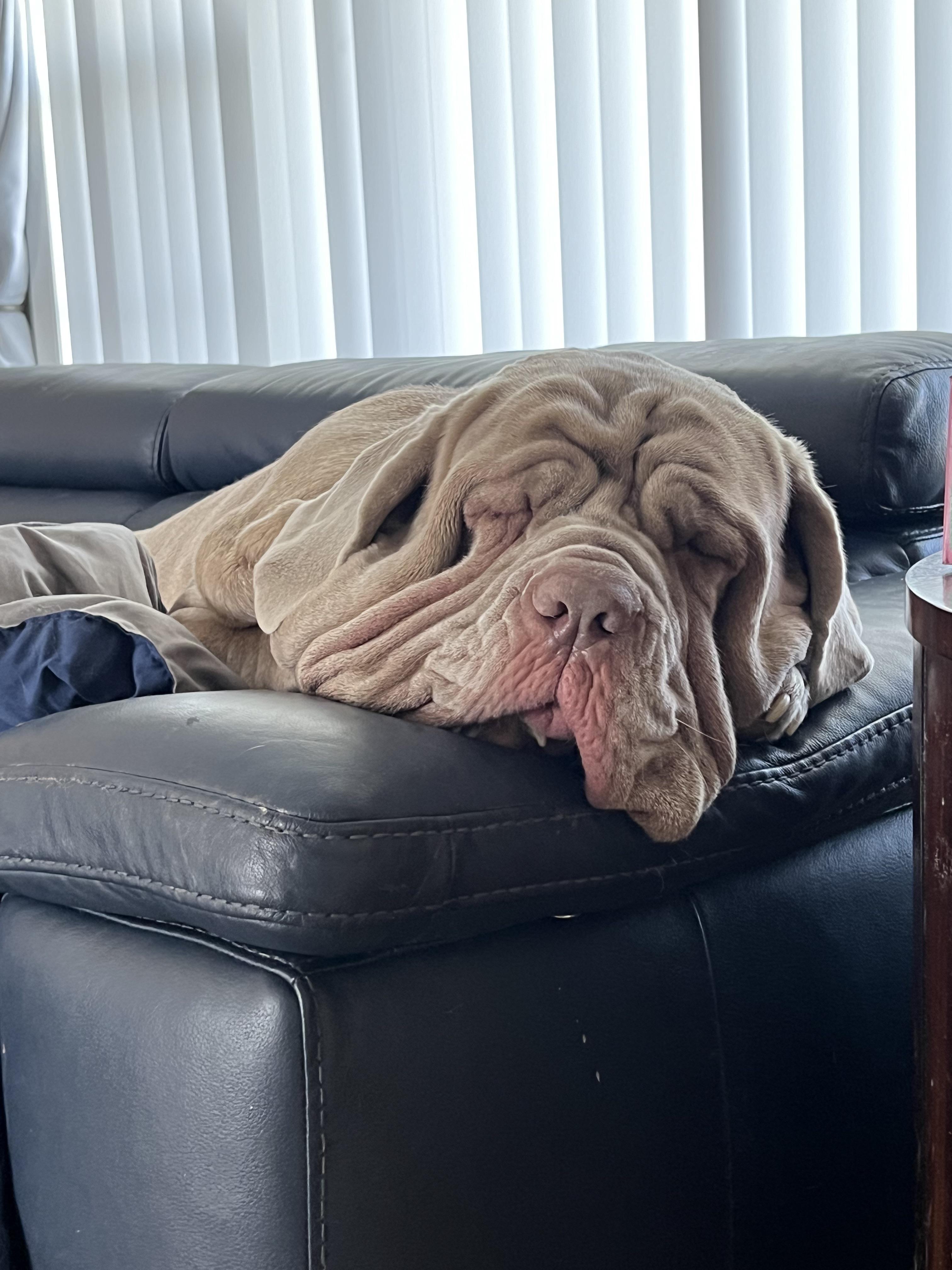 Pre Christmas vibes.. Oh Carmela Marie.. | Scrolller