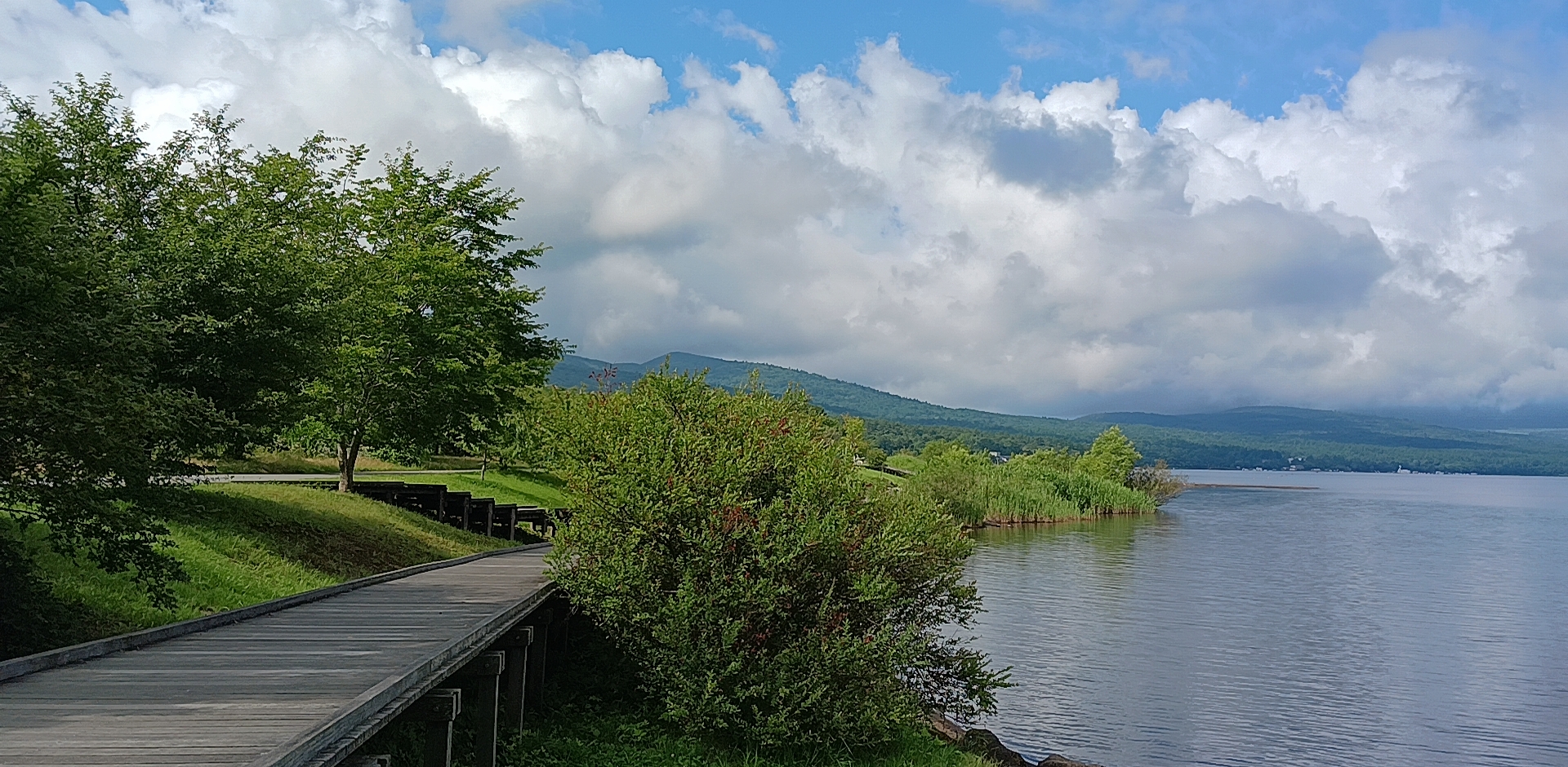 Wood boards | Scrolller