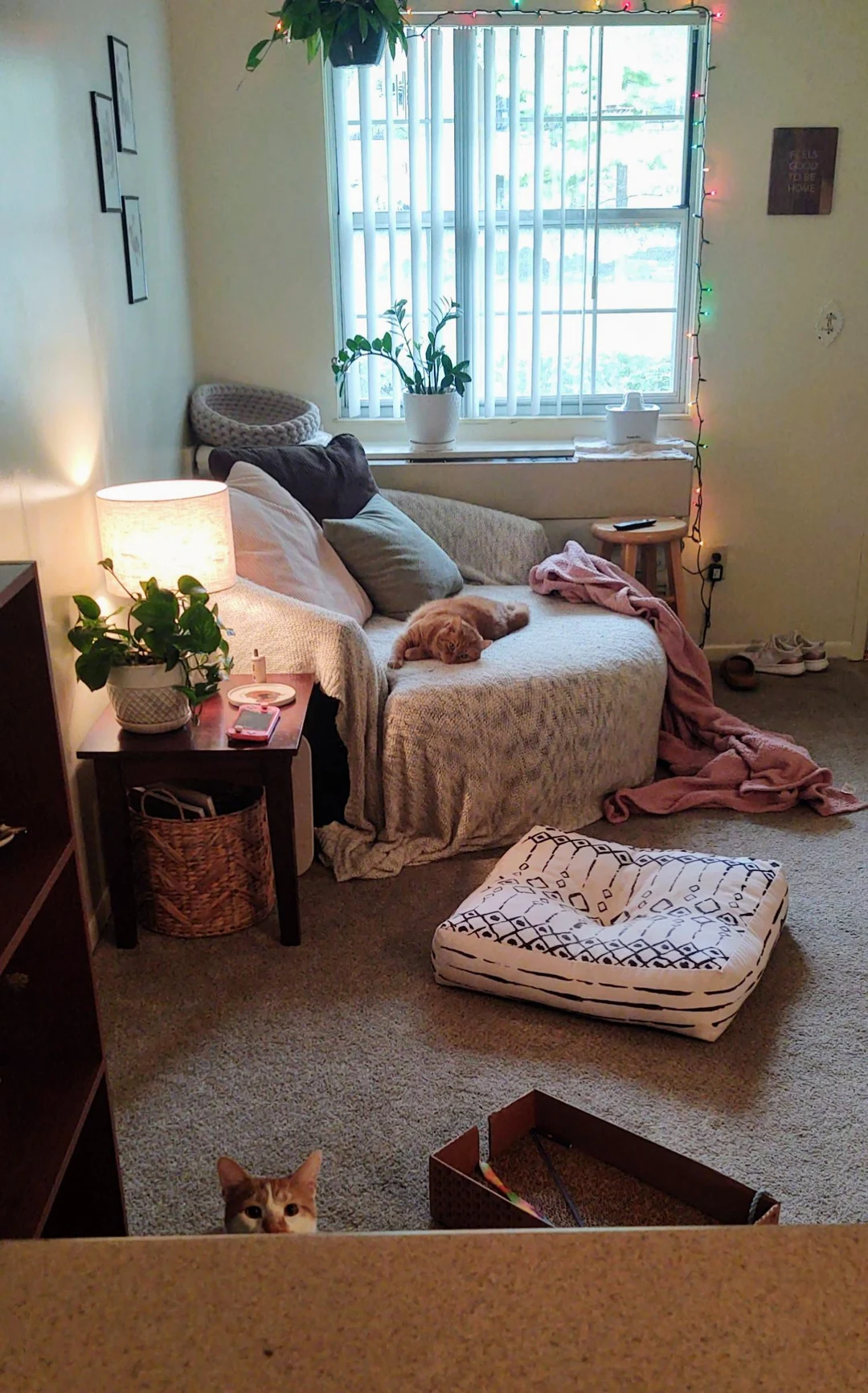 I'm suddenly in ultra cozy fall mode | Scrolller