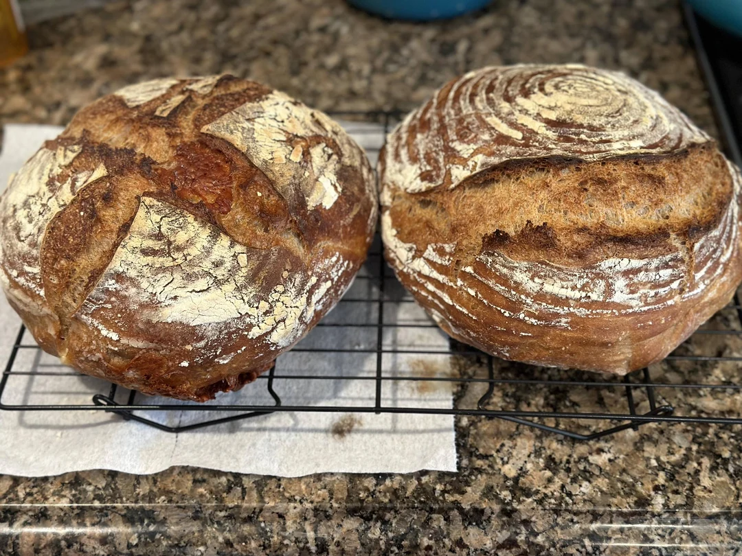 Manchego whole wheat | Scrolller