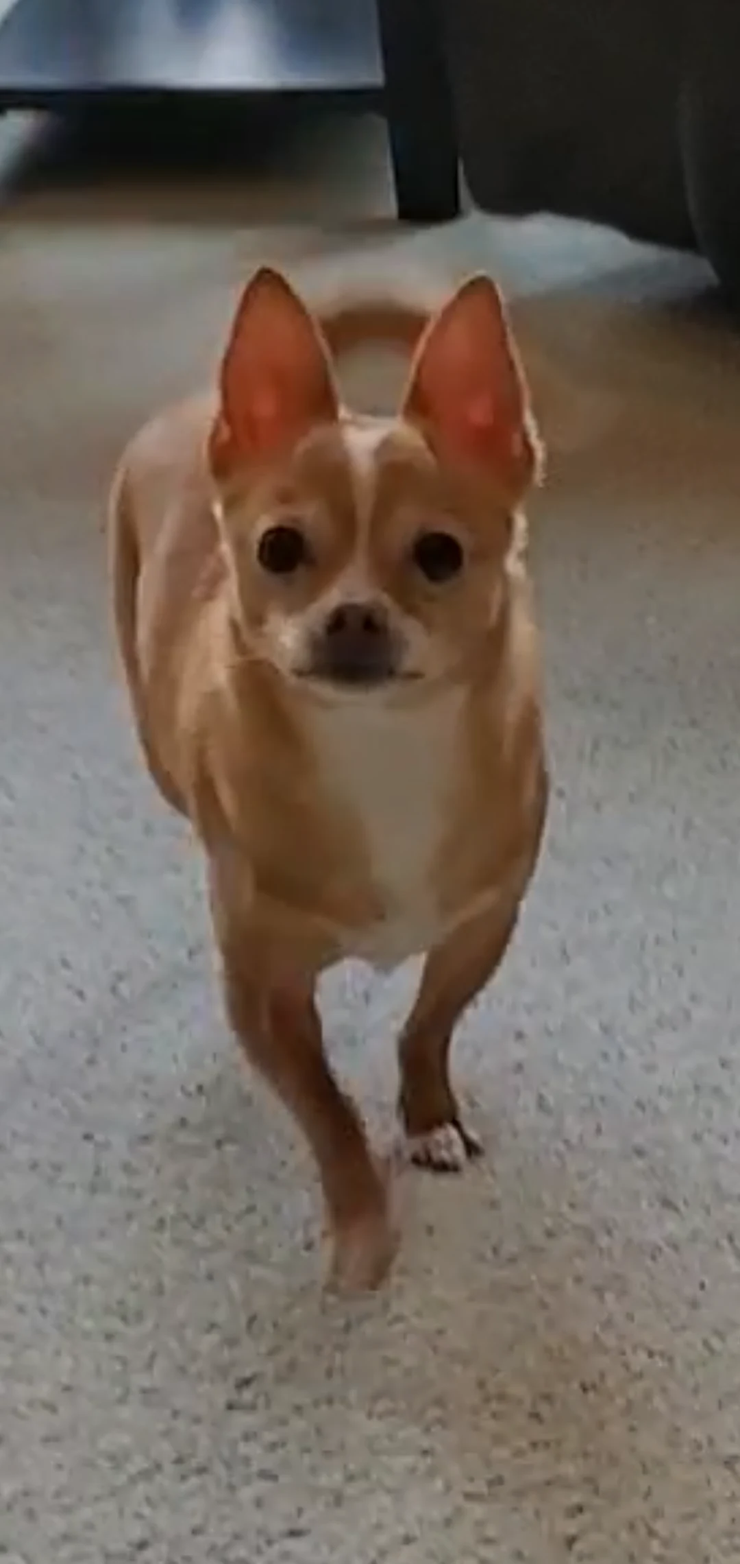 He is very disappointed in you. | Scrolller