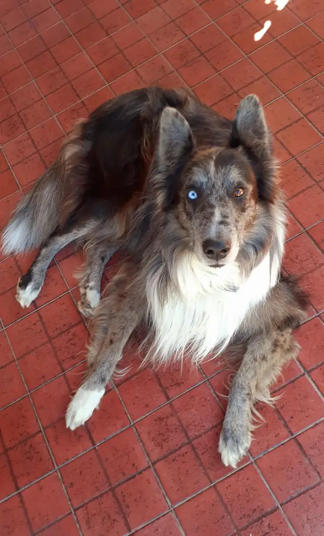 Baby Moro | Scrolller